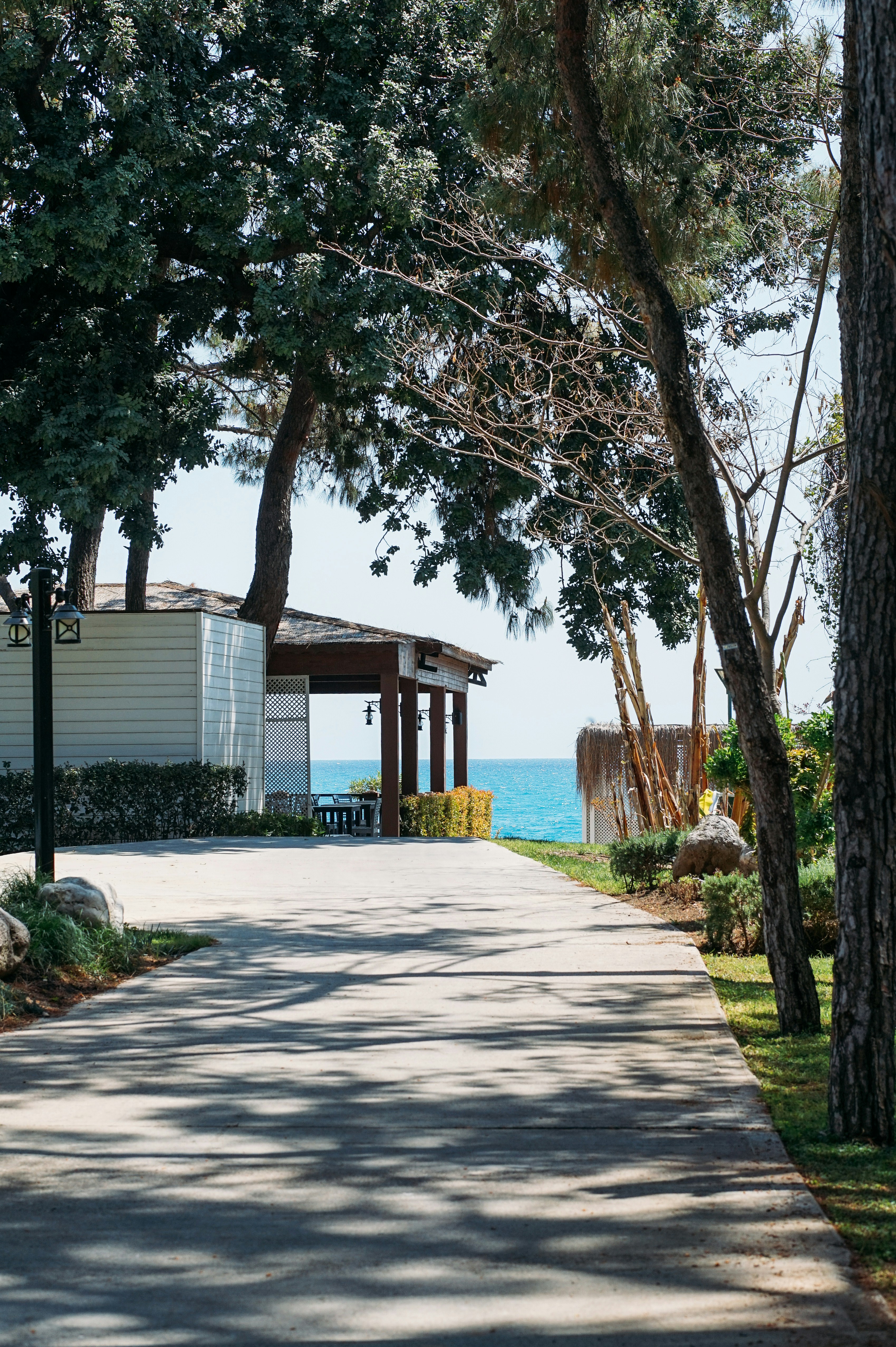 Sunlit Coastal Path to a Quiet Pavilion