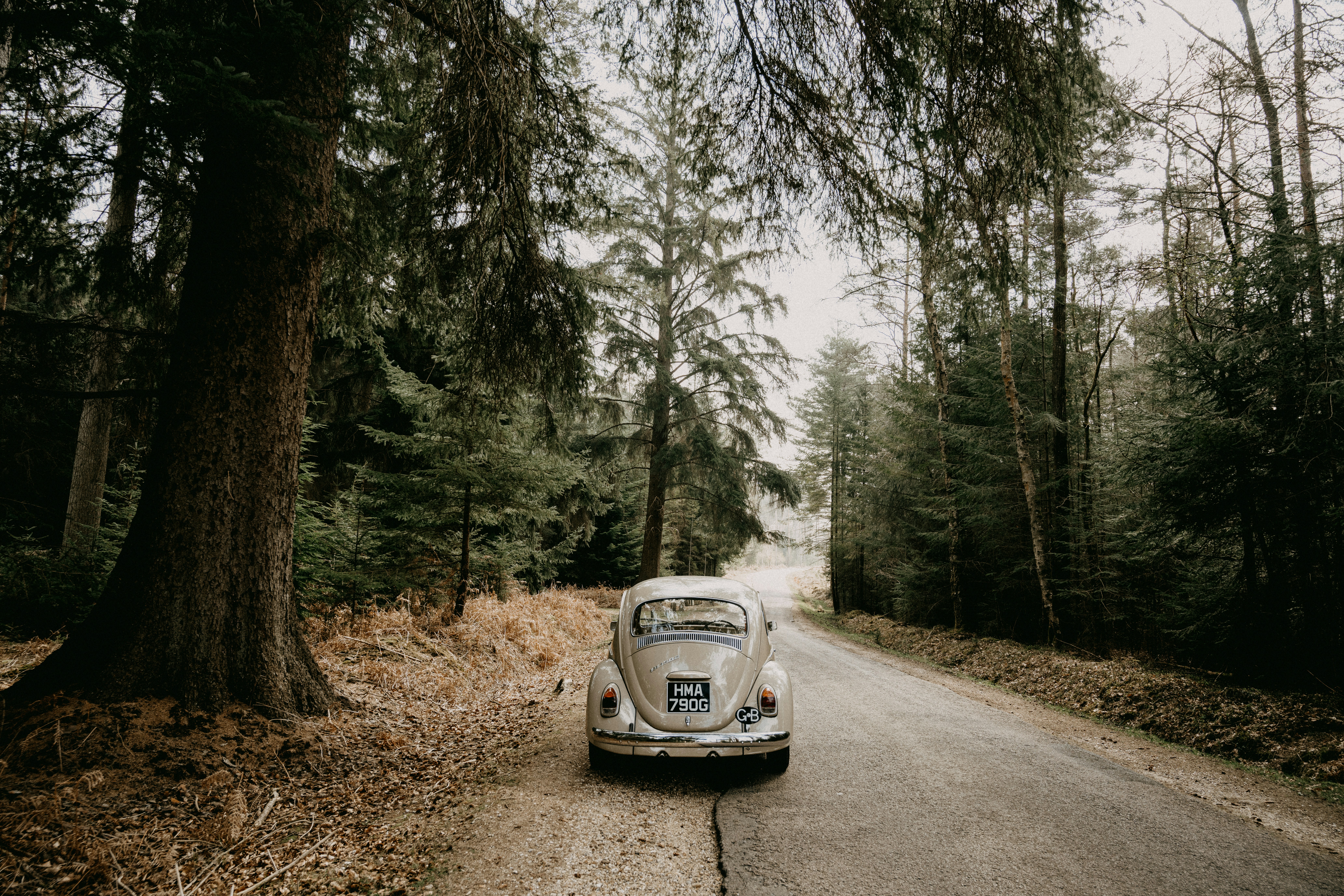 VINTAGE | 100+ best free photos on Unsplash