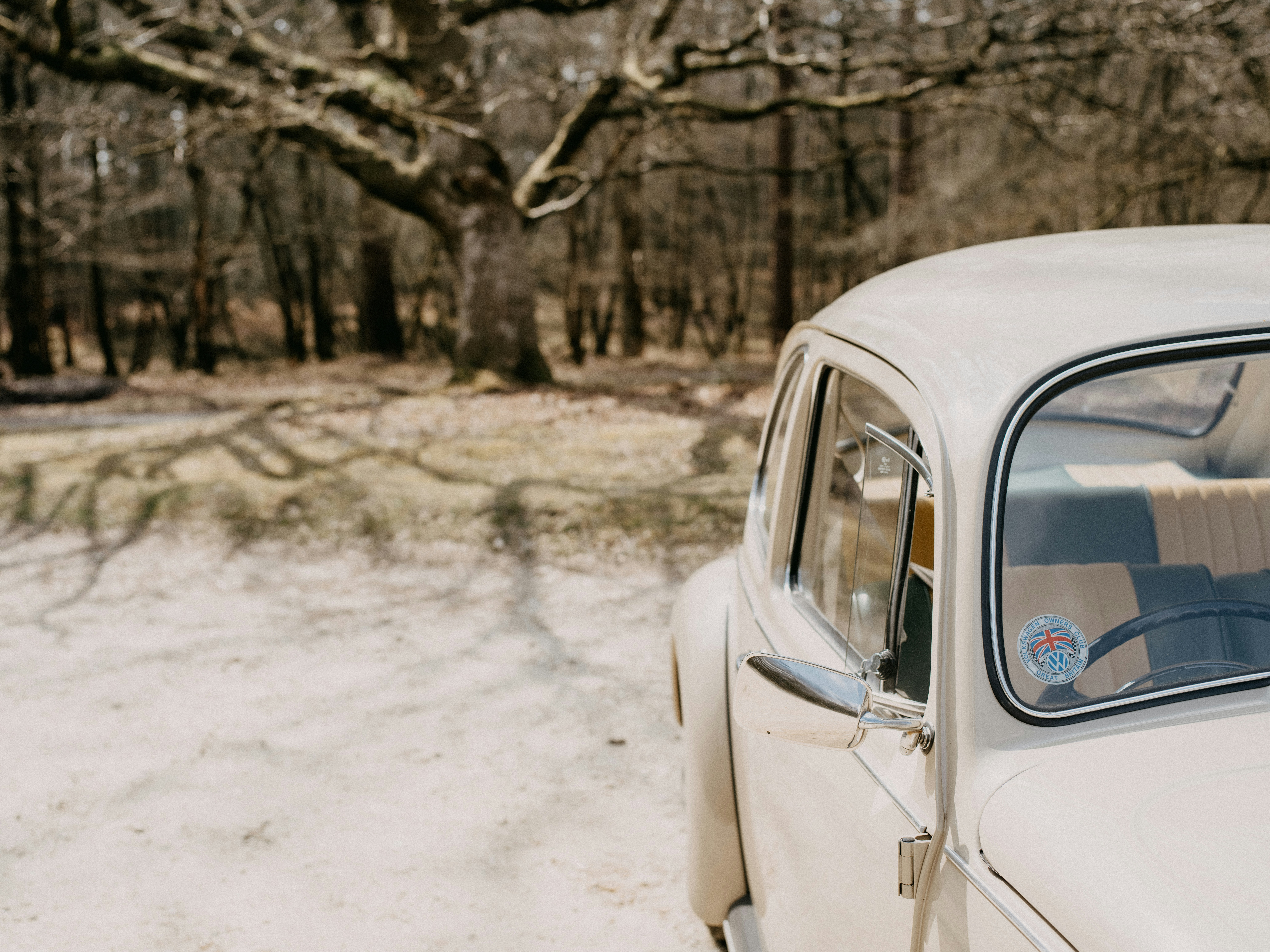 Classic vintage car parked under a sprawling tree, surrounded by a serene, natural backdrop. The scene evokes nostalgia and tranquility.
