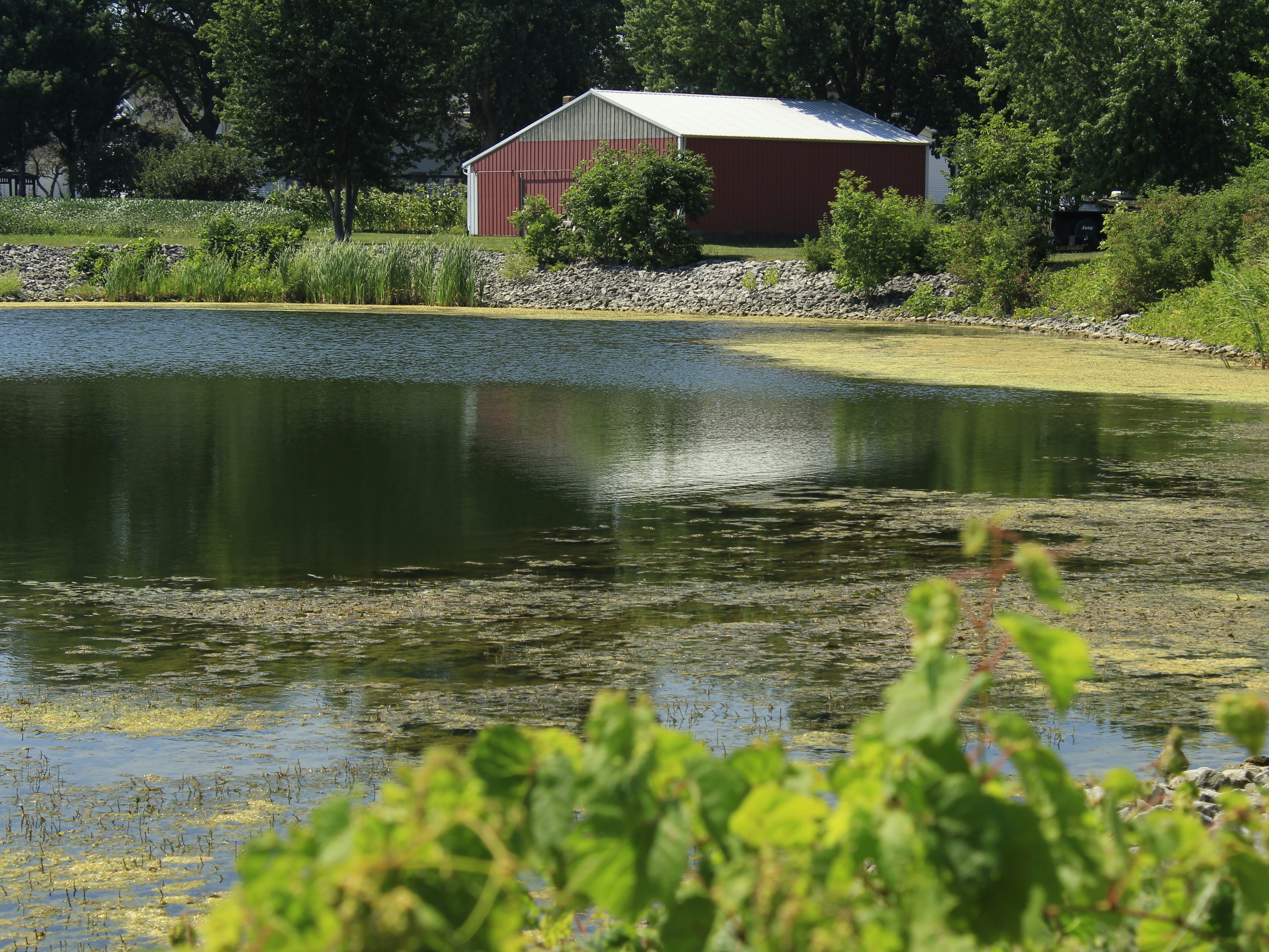 Serene Reflection by the Red Barn