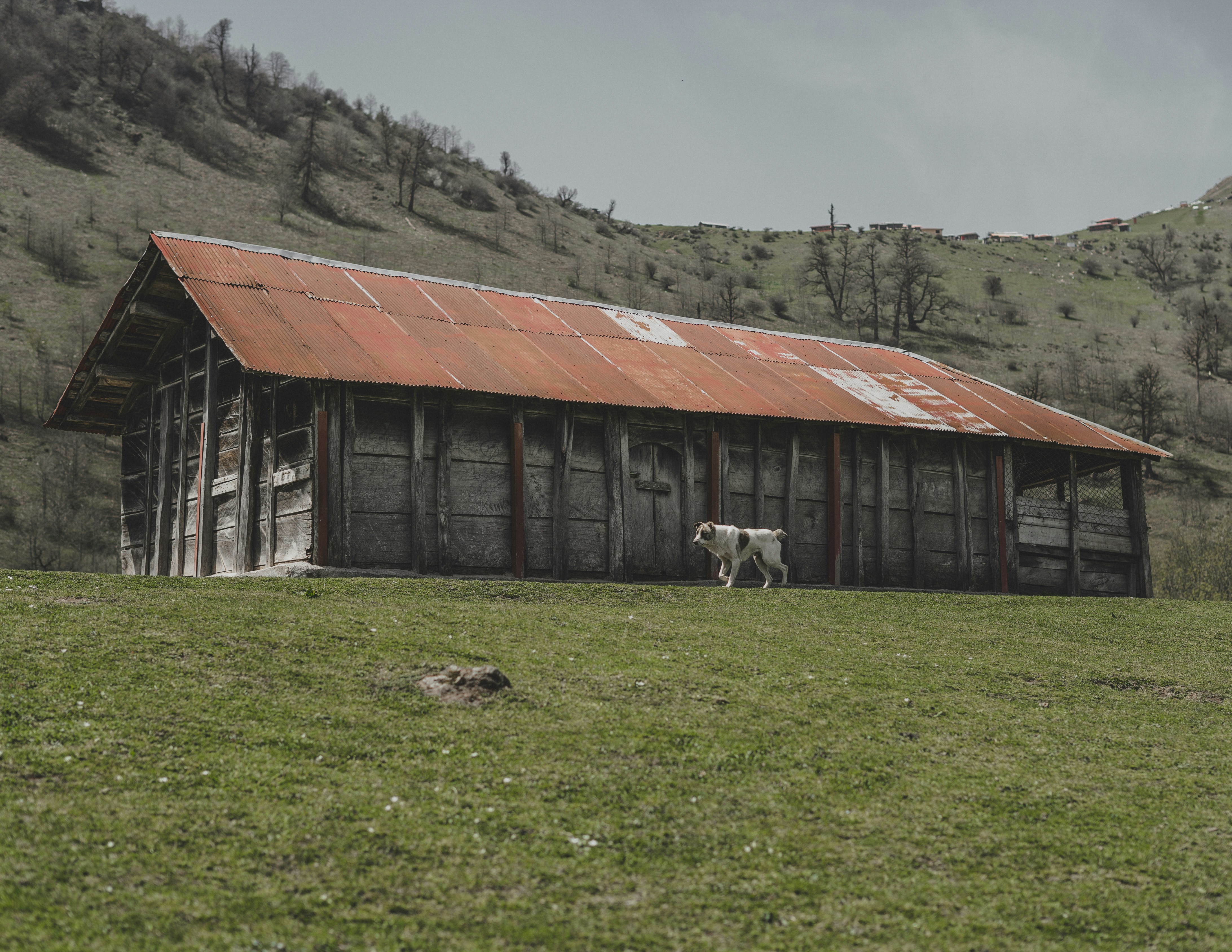 Weathered barn with rusty roof stands on a grassy hillside under a cloudy sky.