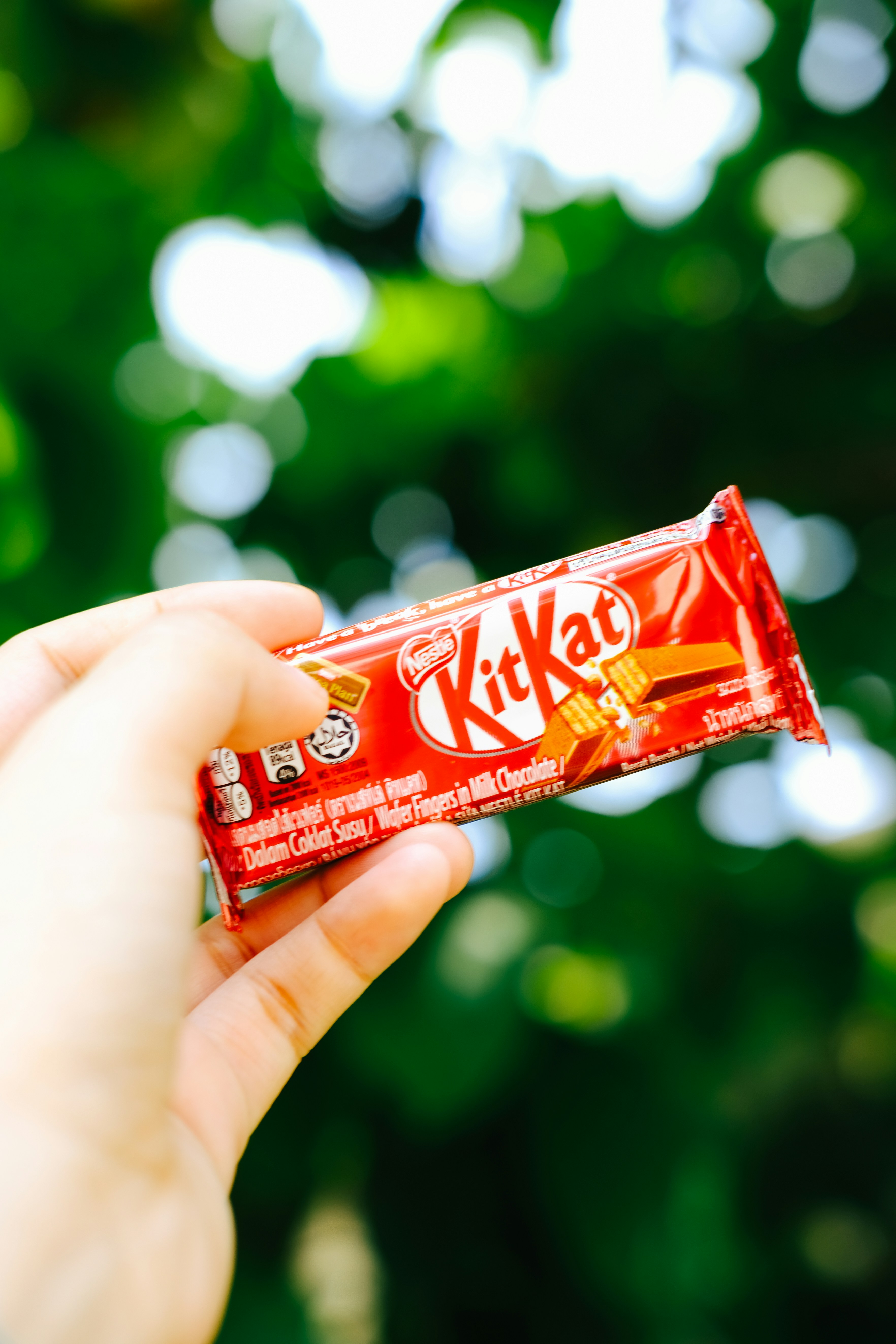 Kitkat chocolate bar on persons hand photo – Free Food Image on Unsplash