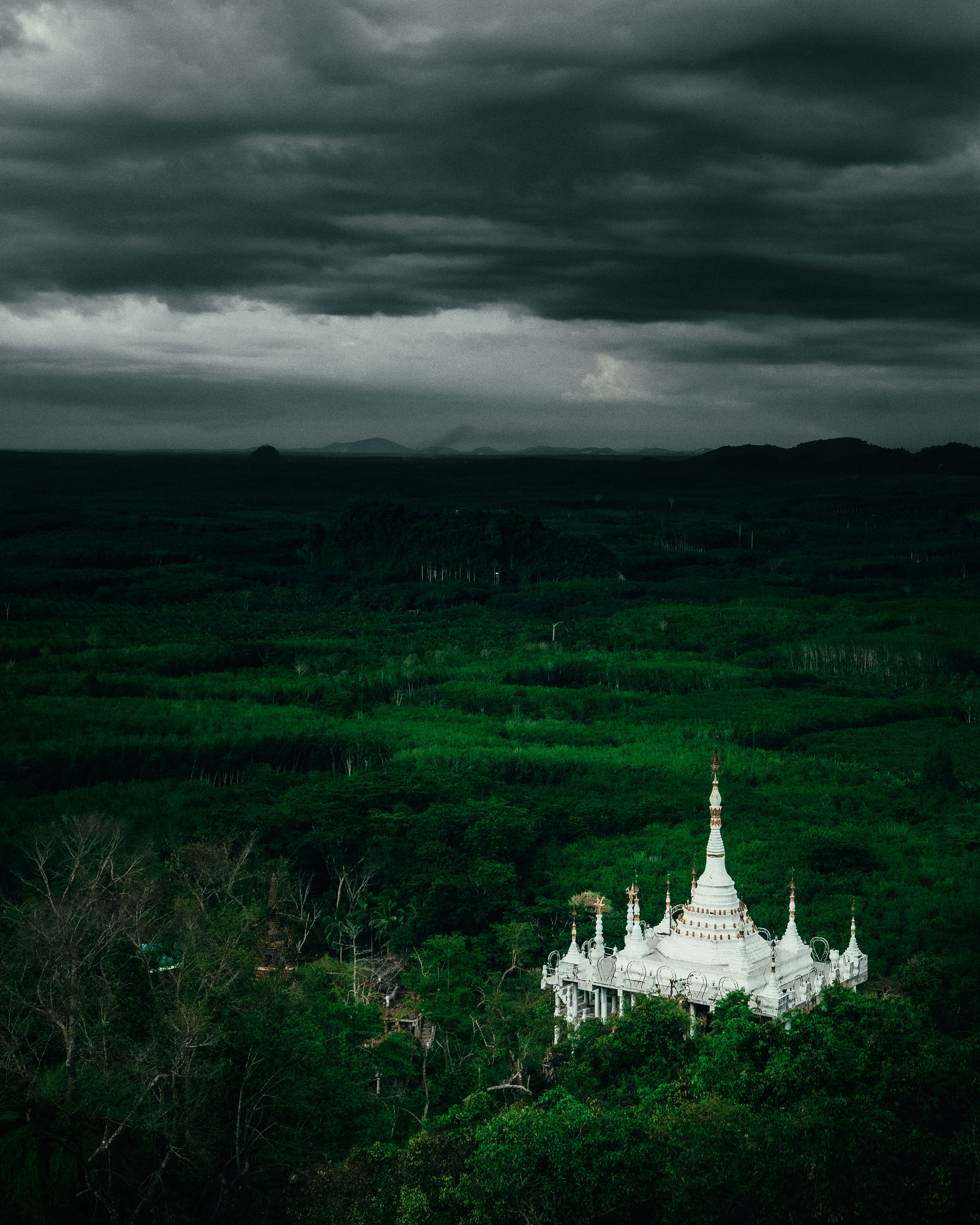 Verdant Sentinel: White Pagoda Rising from a Green Sea Beneath Looming Skies