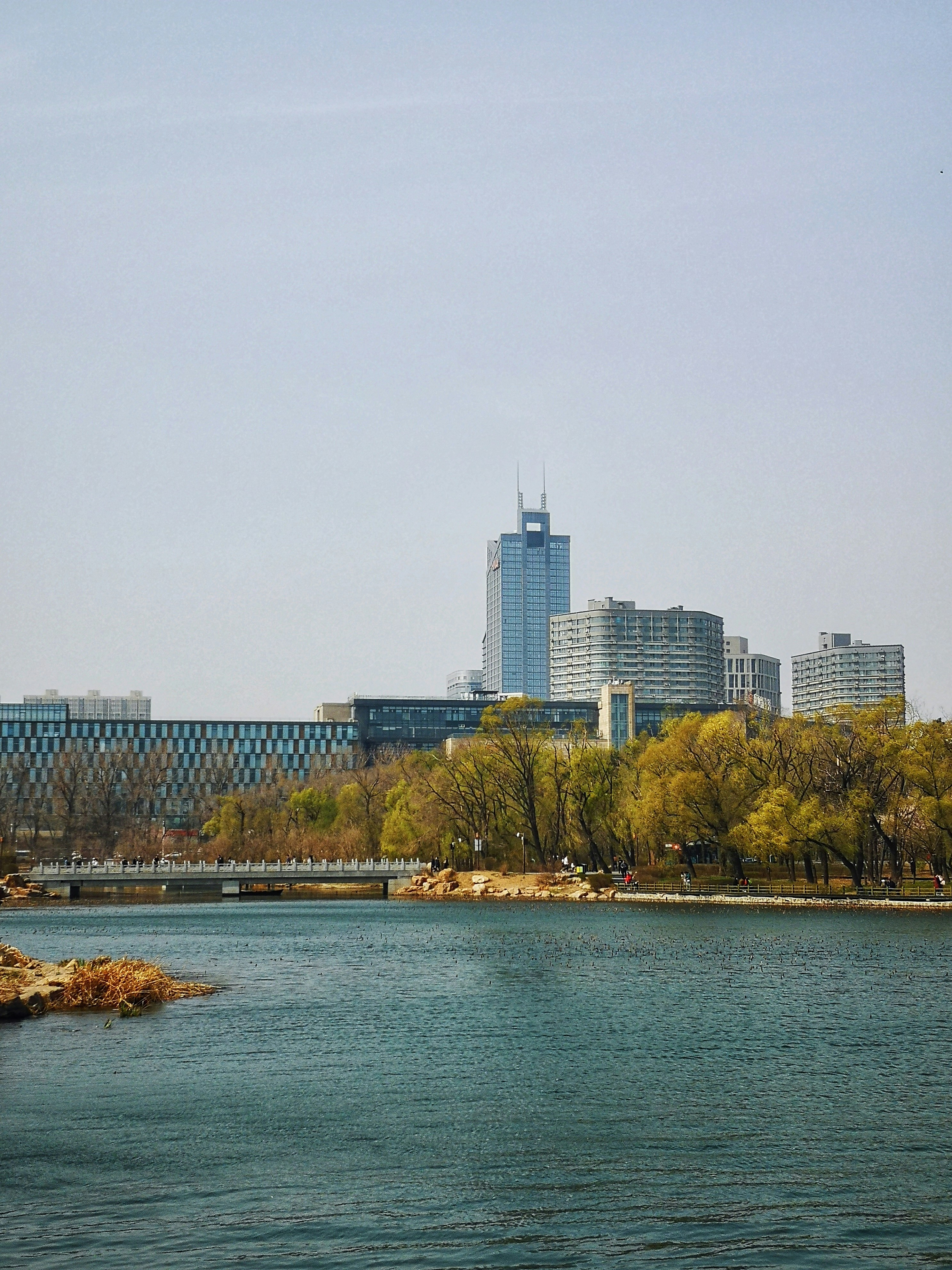 Cityscape photograph of a riverbank with trees and a modern skyline. A dominant blue skyscraper anchors the composition.
