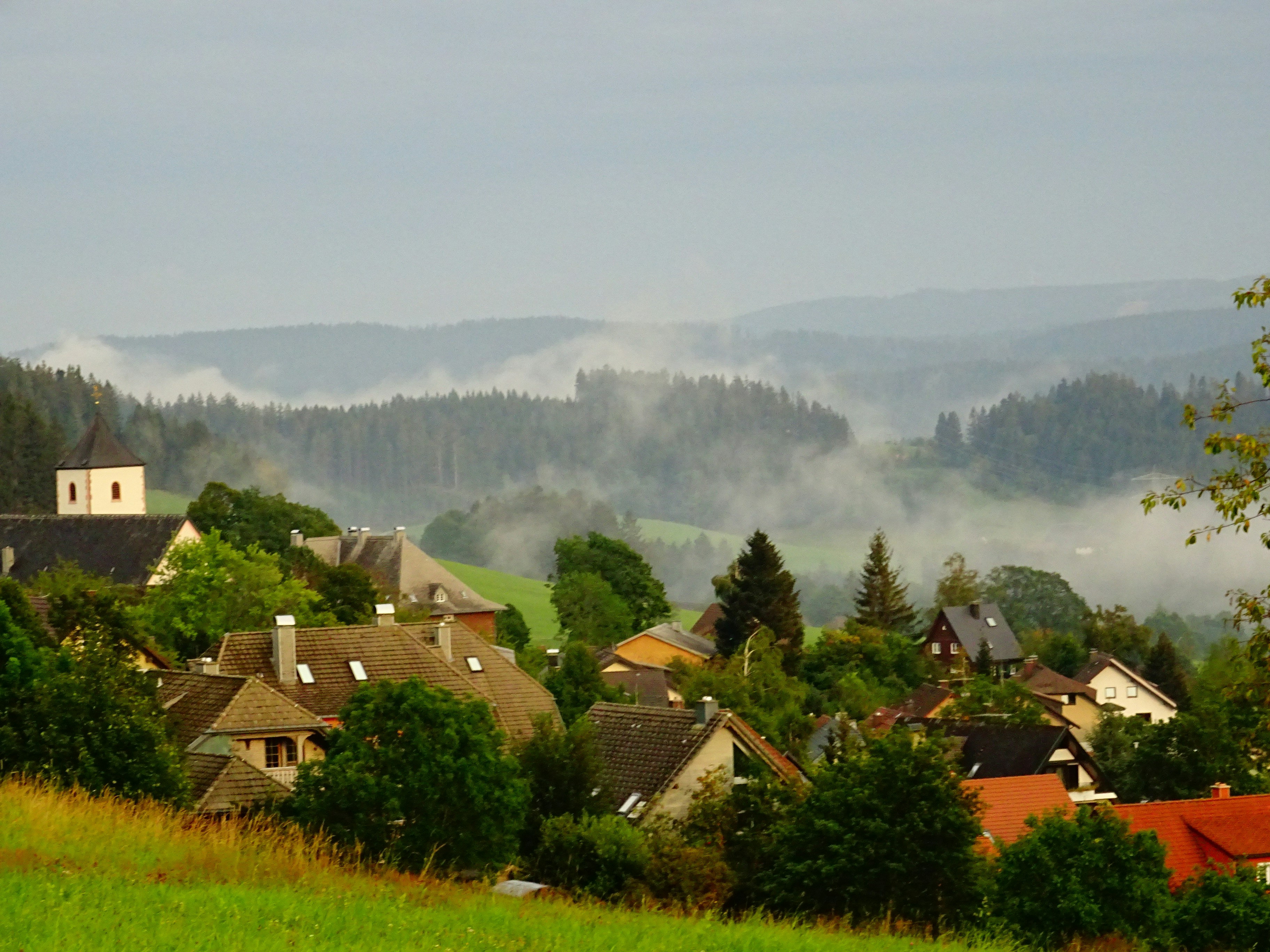 A serene landscape showcasing quaint houses nestled among lush greenery and rolling hills, shrouded in morning mist. The scene conveys a peaceful rural atmosphere.