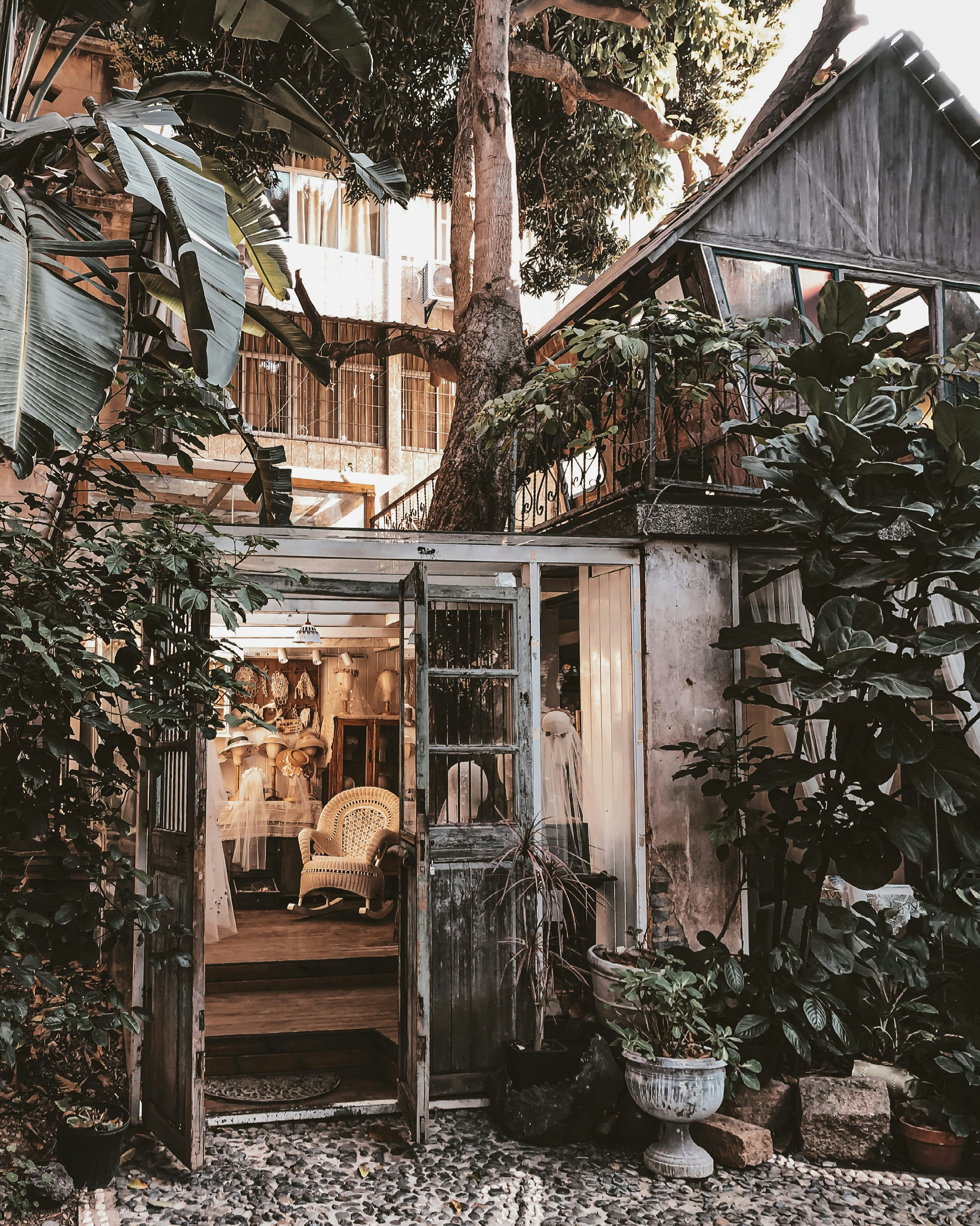 Verdant Threshold: Sunlit Glass Doors Frame a Cozy Indoor Oasis