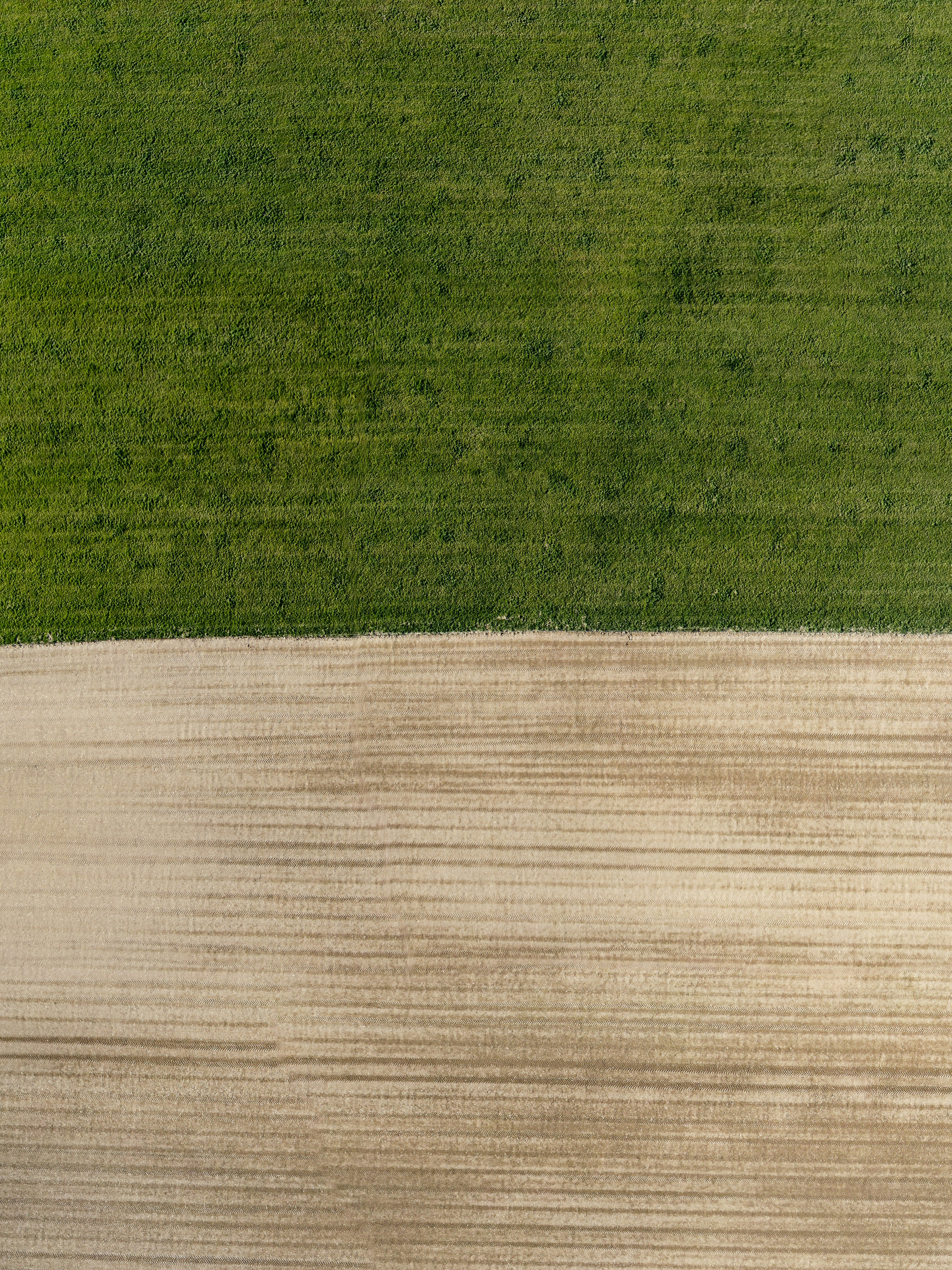 Green grass field during daytime photo – Free Texture Image on Unsplash