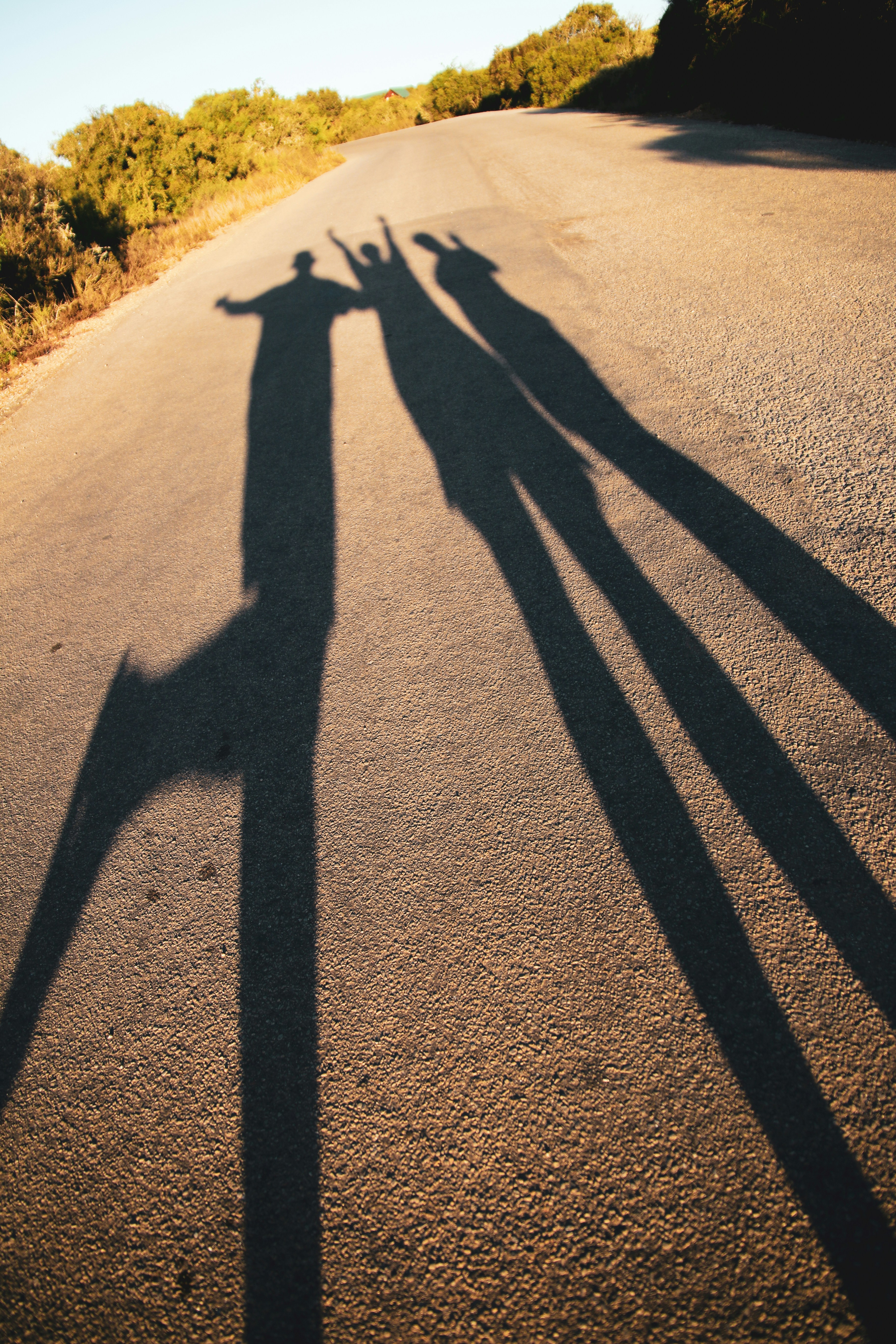 Shadow of 2 person on gray asphalt road during daytime photo – Free ...
