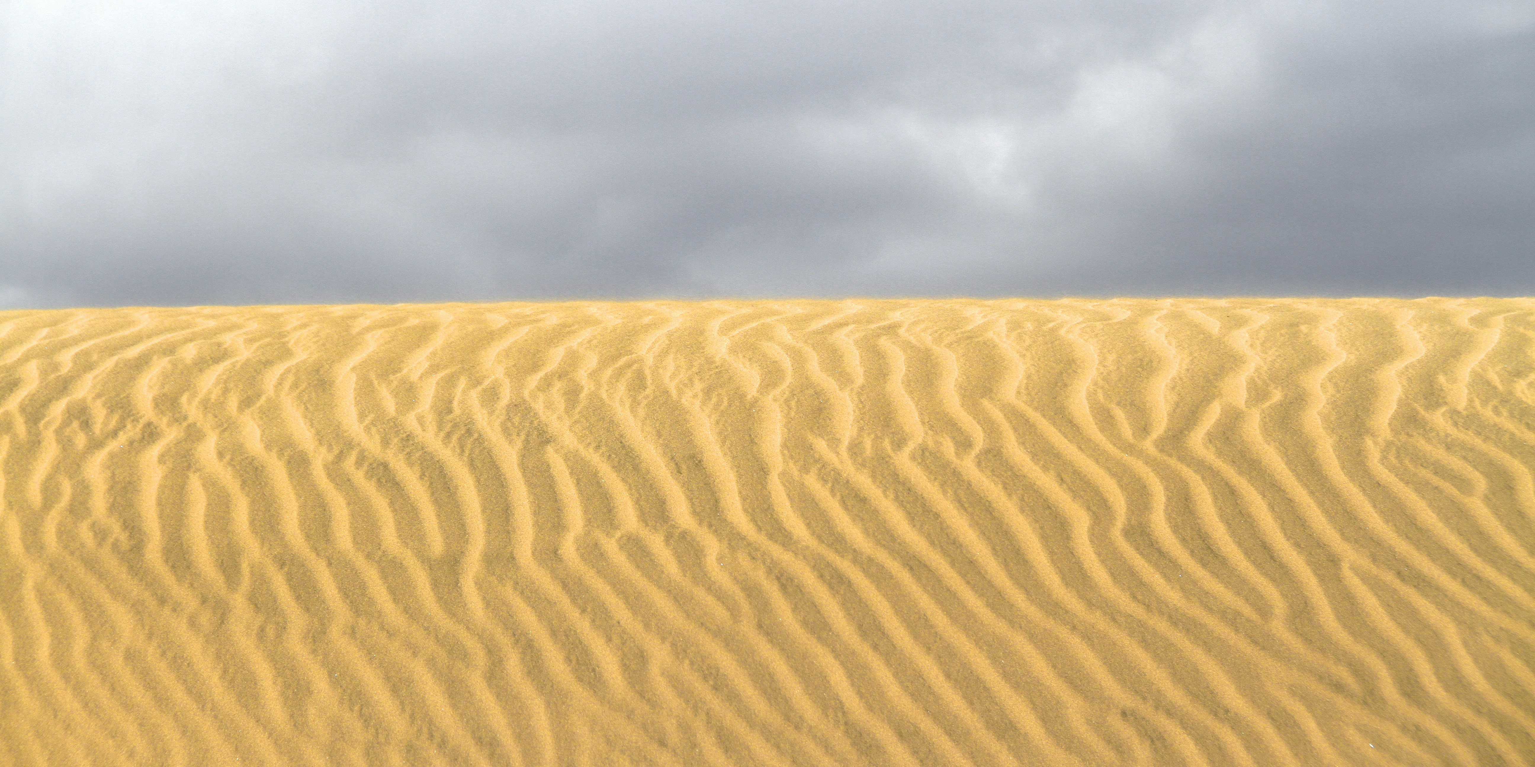 Waves of Gold: Dune Ripples Under Overcast Sky