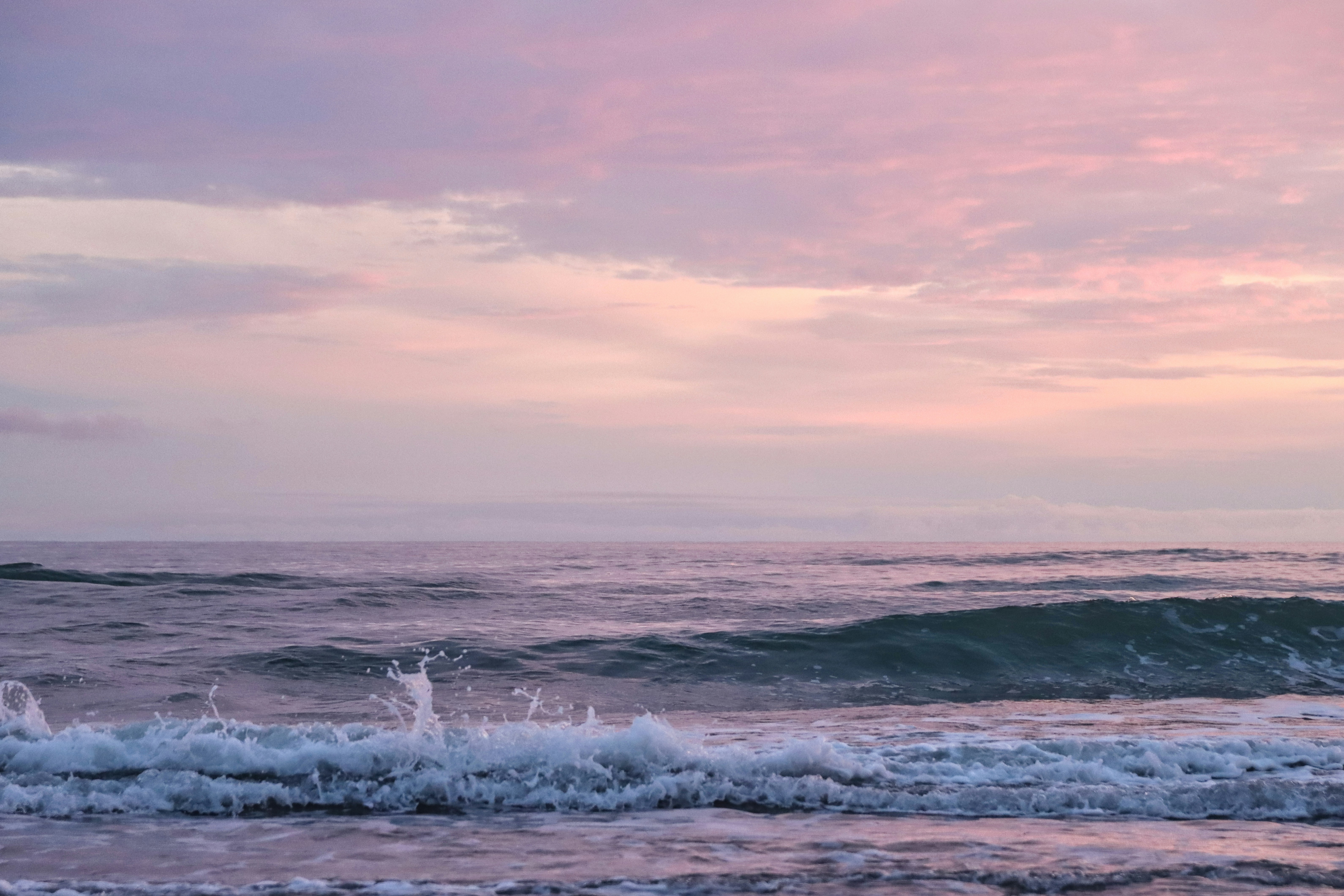 500+ Stunning Pink Sunset Pictures | Download Free Images on Unsplash