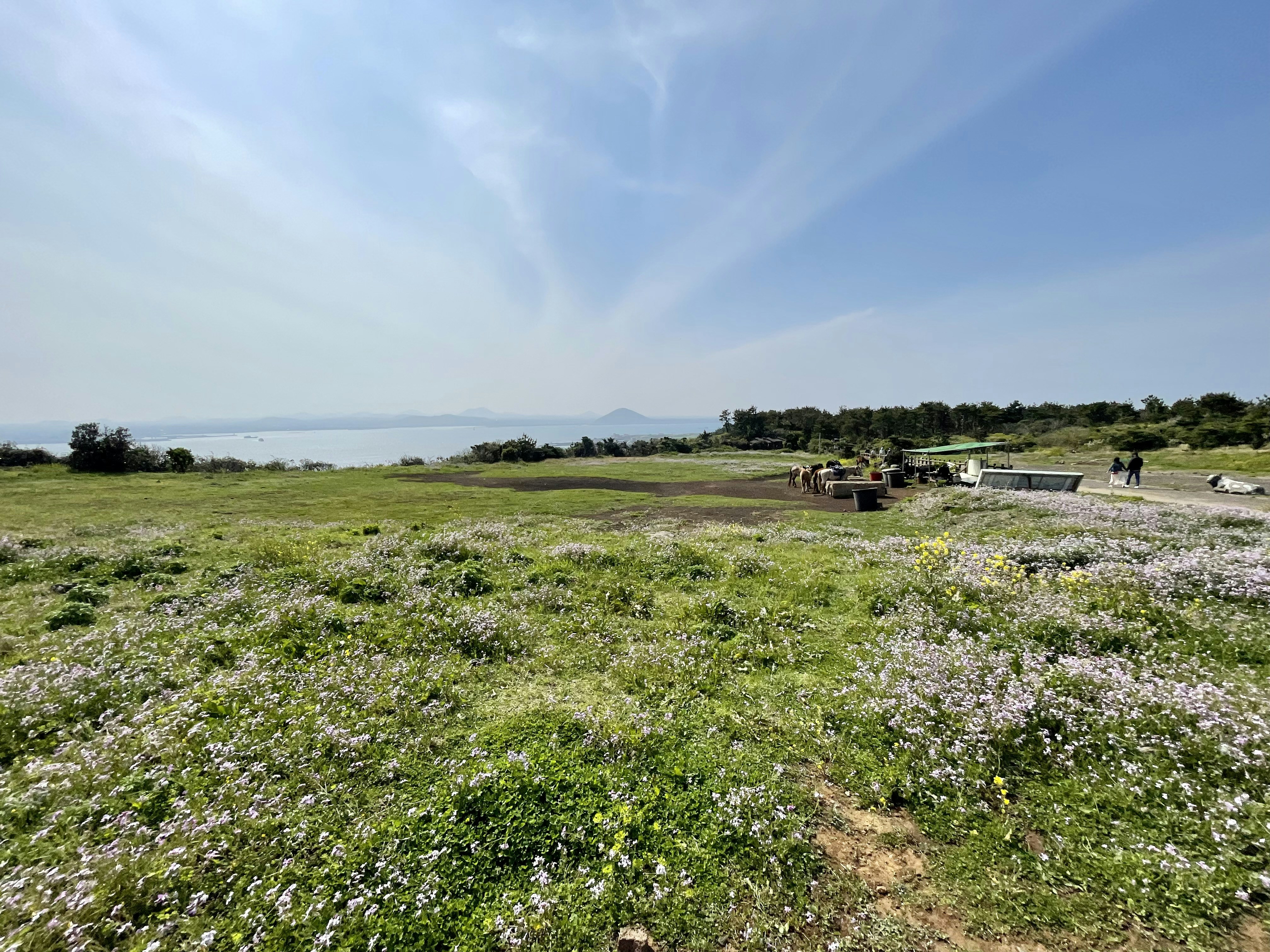 Jiho Lee (@jilee) | Communauté photos Unsplash