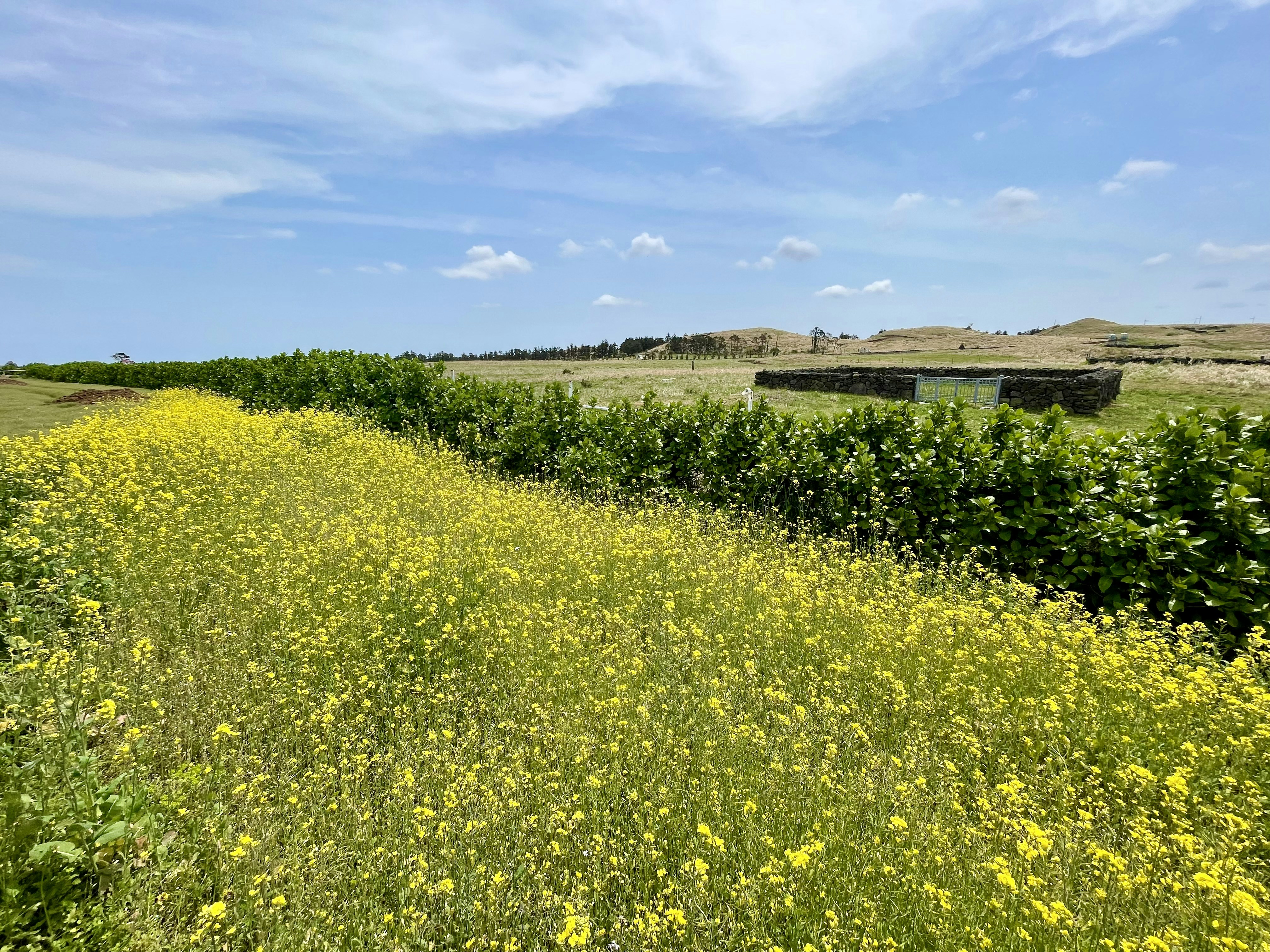 Jiho Lee (@jilee) | Communauté photos Unsplash