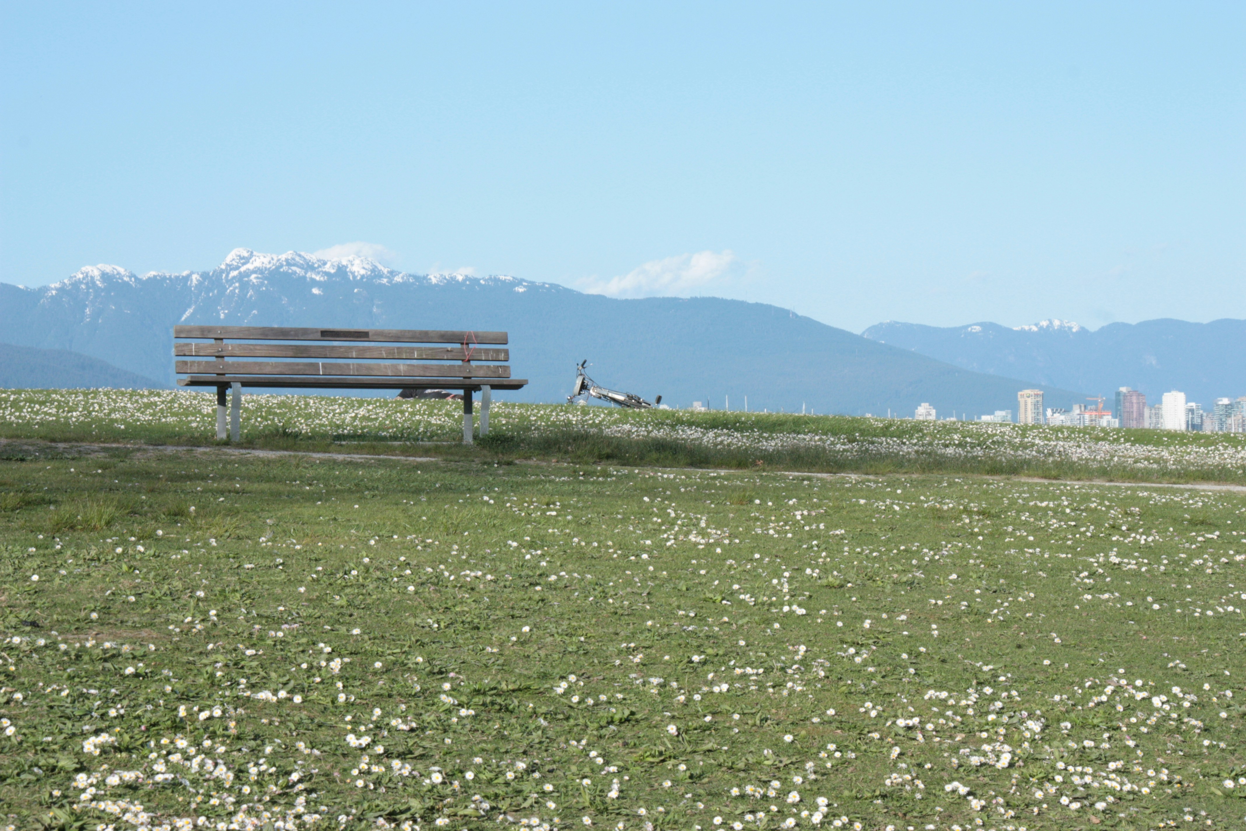 Edge of Spring: A lone bench frames distant mountains over a field of white blooms