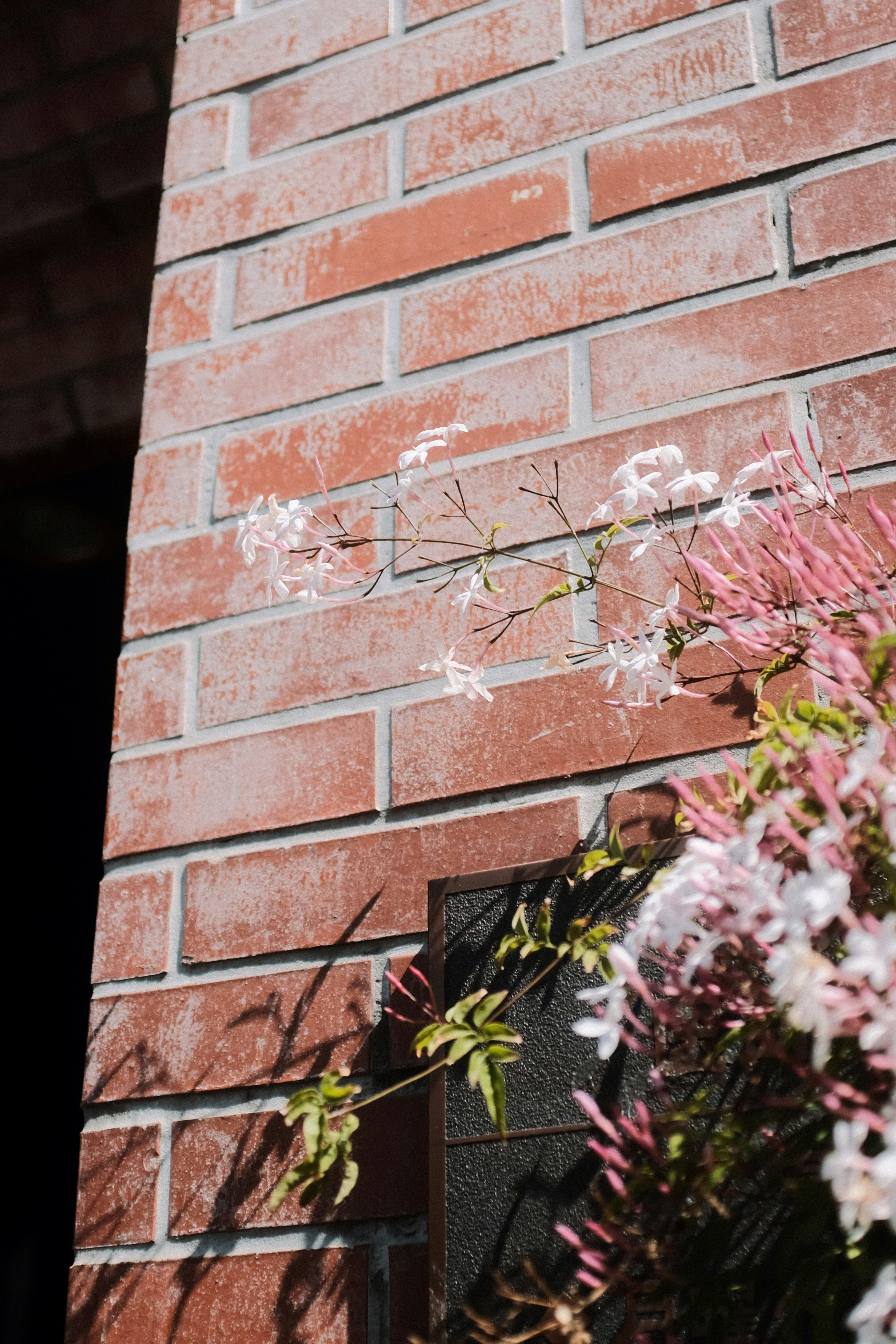 Delicate pink and white flowers intertwine with textured brick wall, showcasing a blend of natural beauty and architecture.