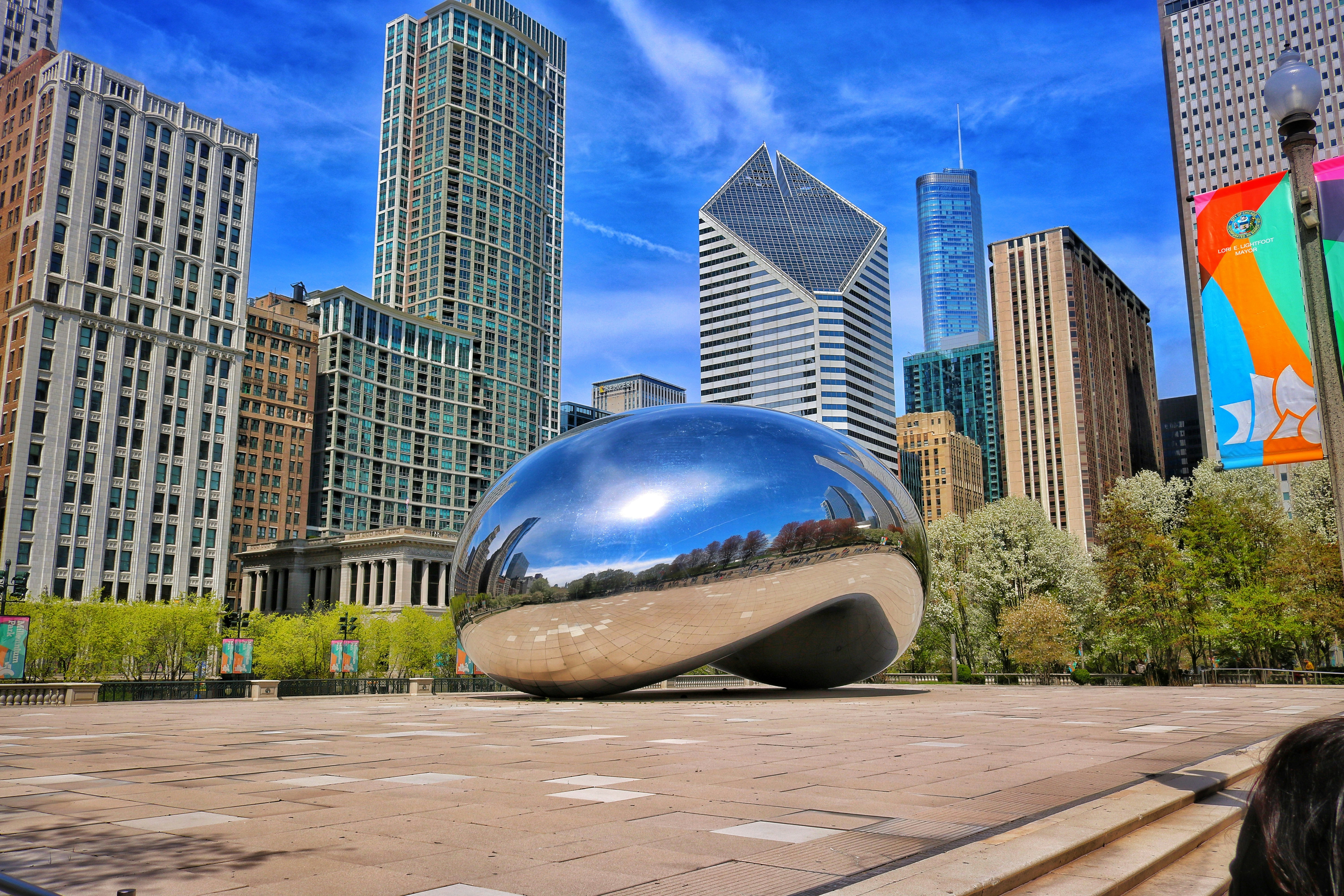 Chromed Echo: The Bean and the City Canvas