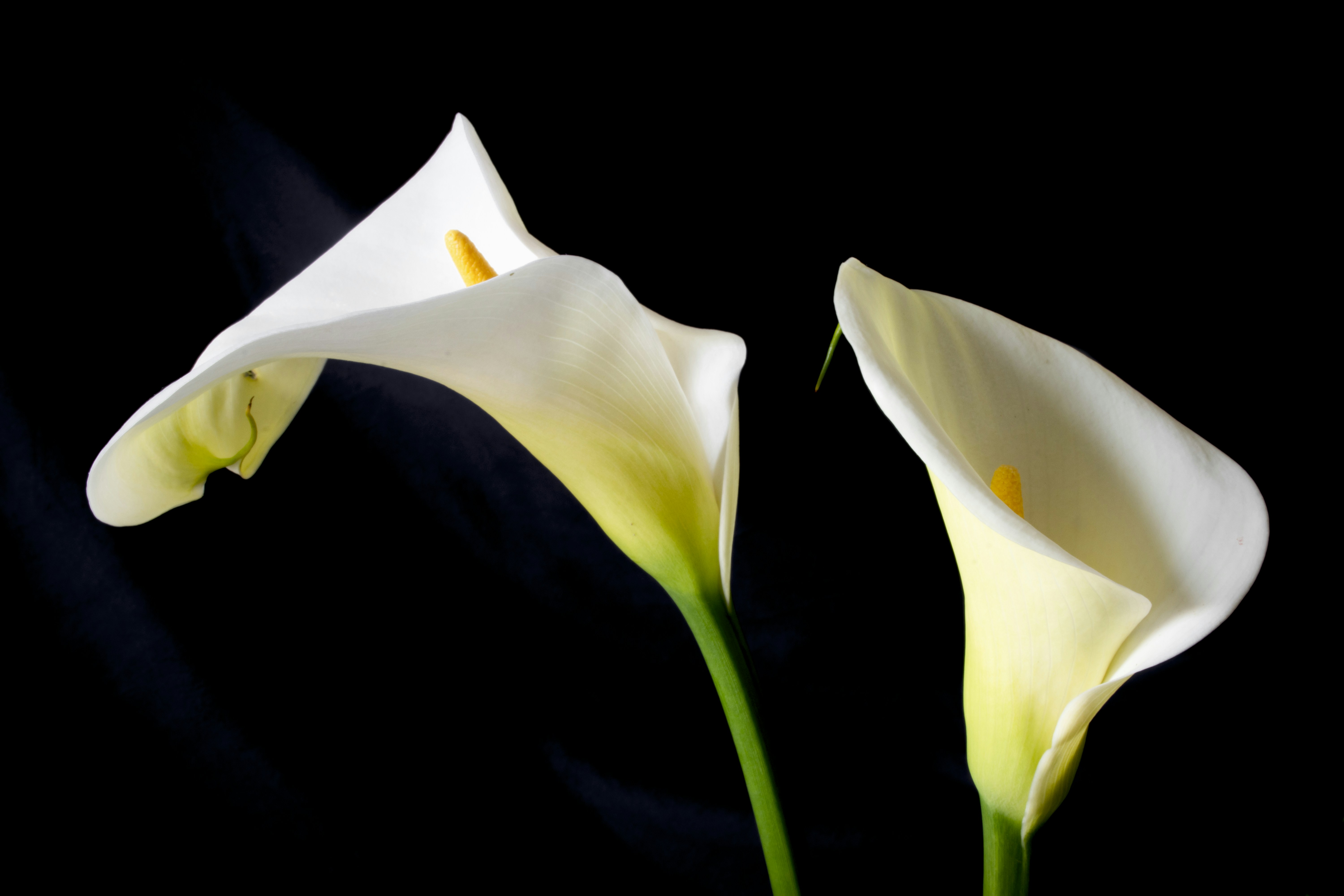 Luis Argaiz (@luisargaiz) | Comunidad de fotos de Unsplash