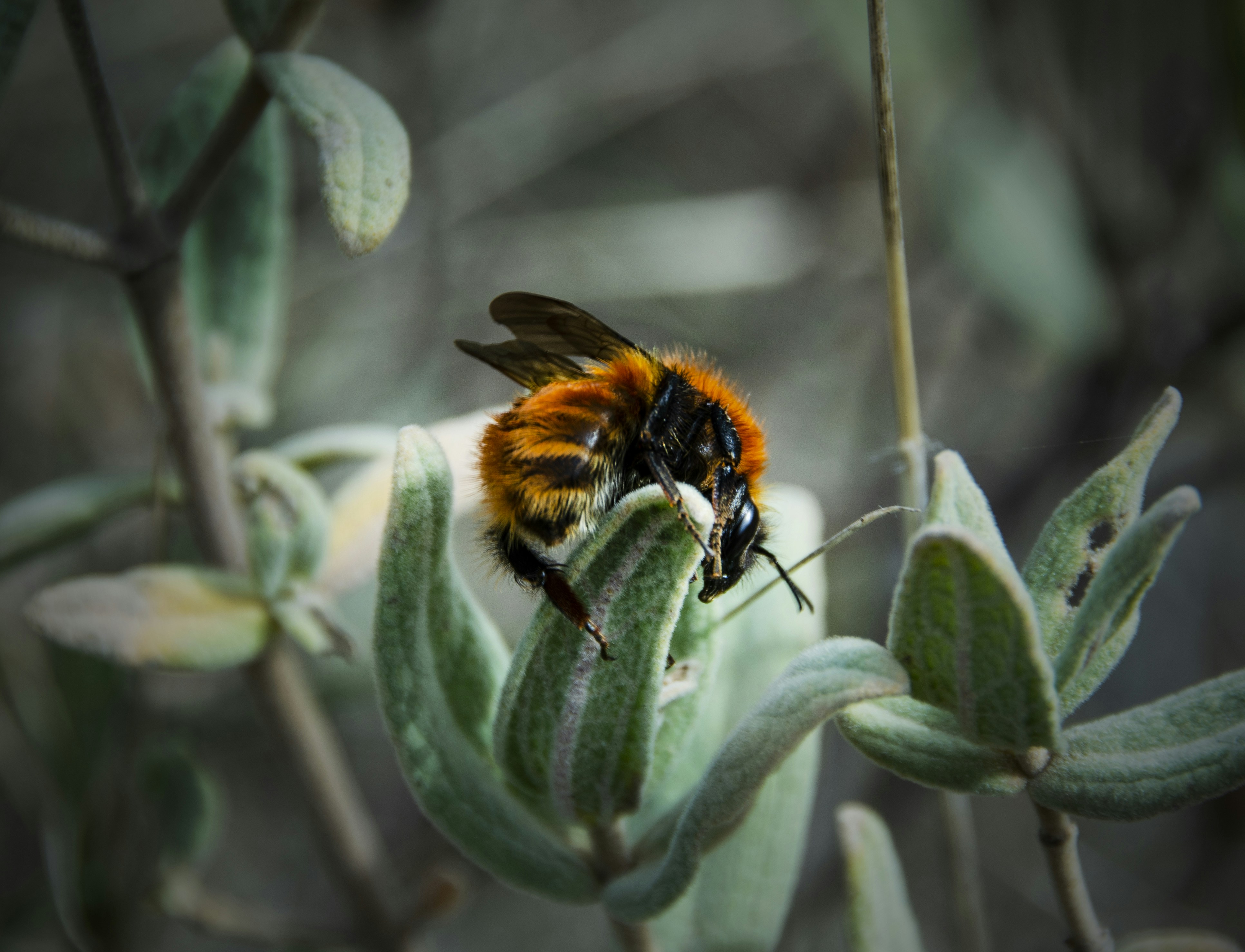 Luis Argaiz (@luisargaiz) | Comunidad de fotos de Unsplash