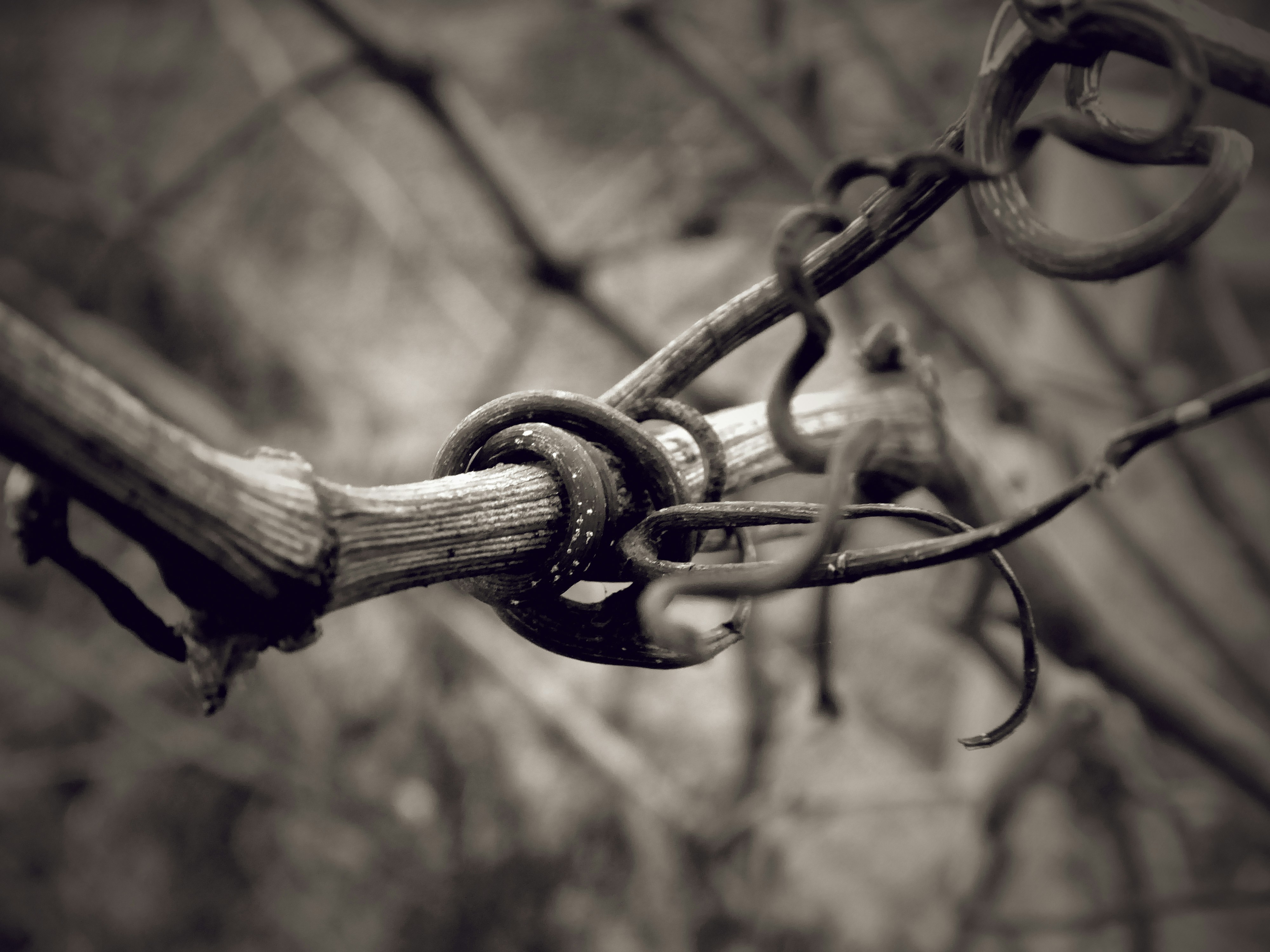 Luis Argaiz (@luisargaiz) | Comunidad de fotos de Unsplash