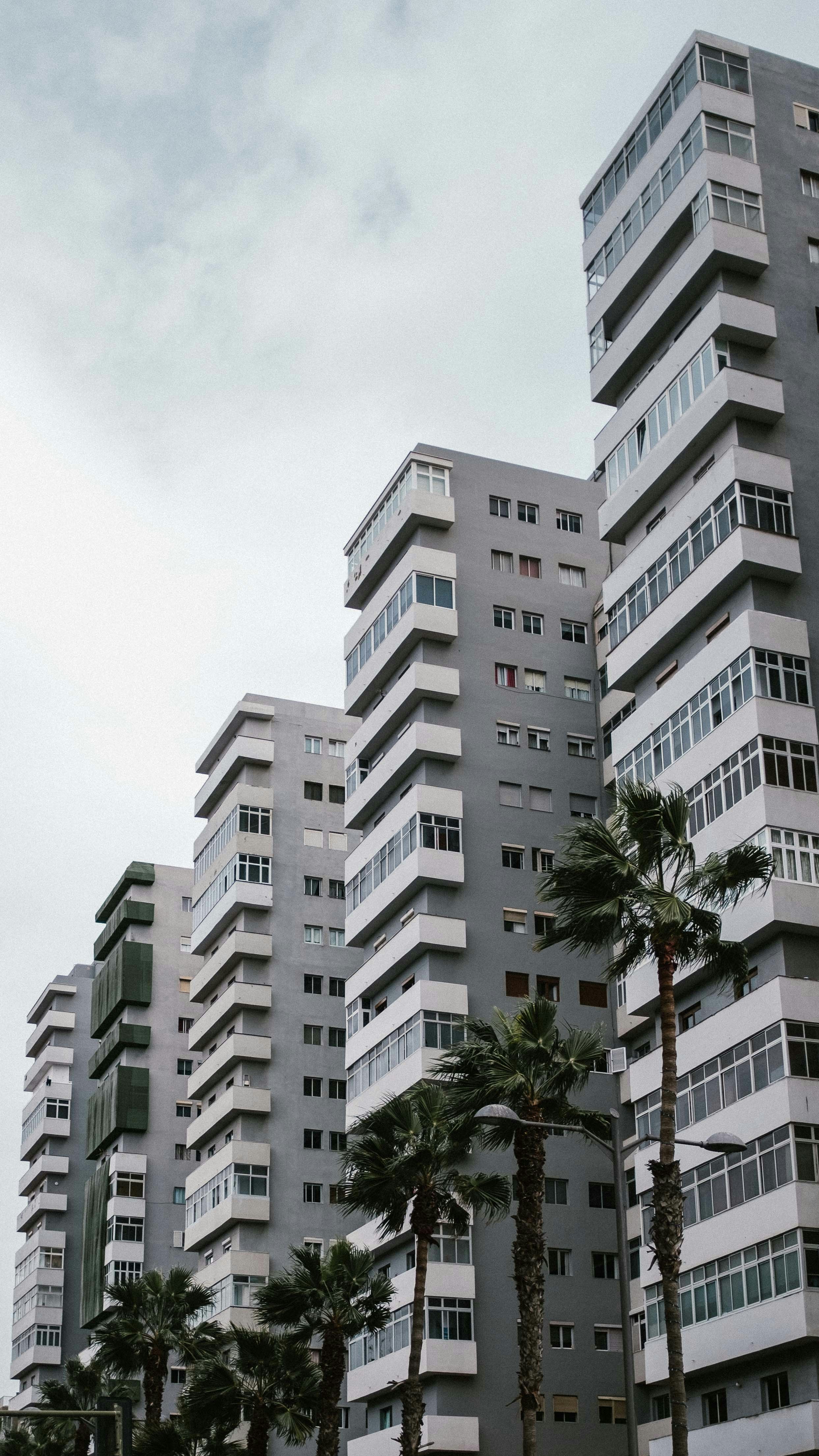 Tall, modern apartment buildings rise amidst palm trees under a cloudy sky. The design features large windows and a sleek, minimalist aesthetic.