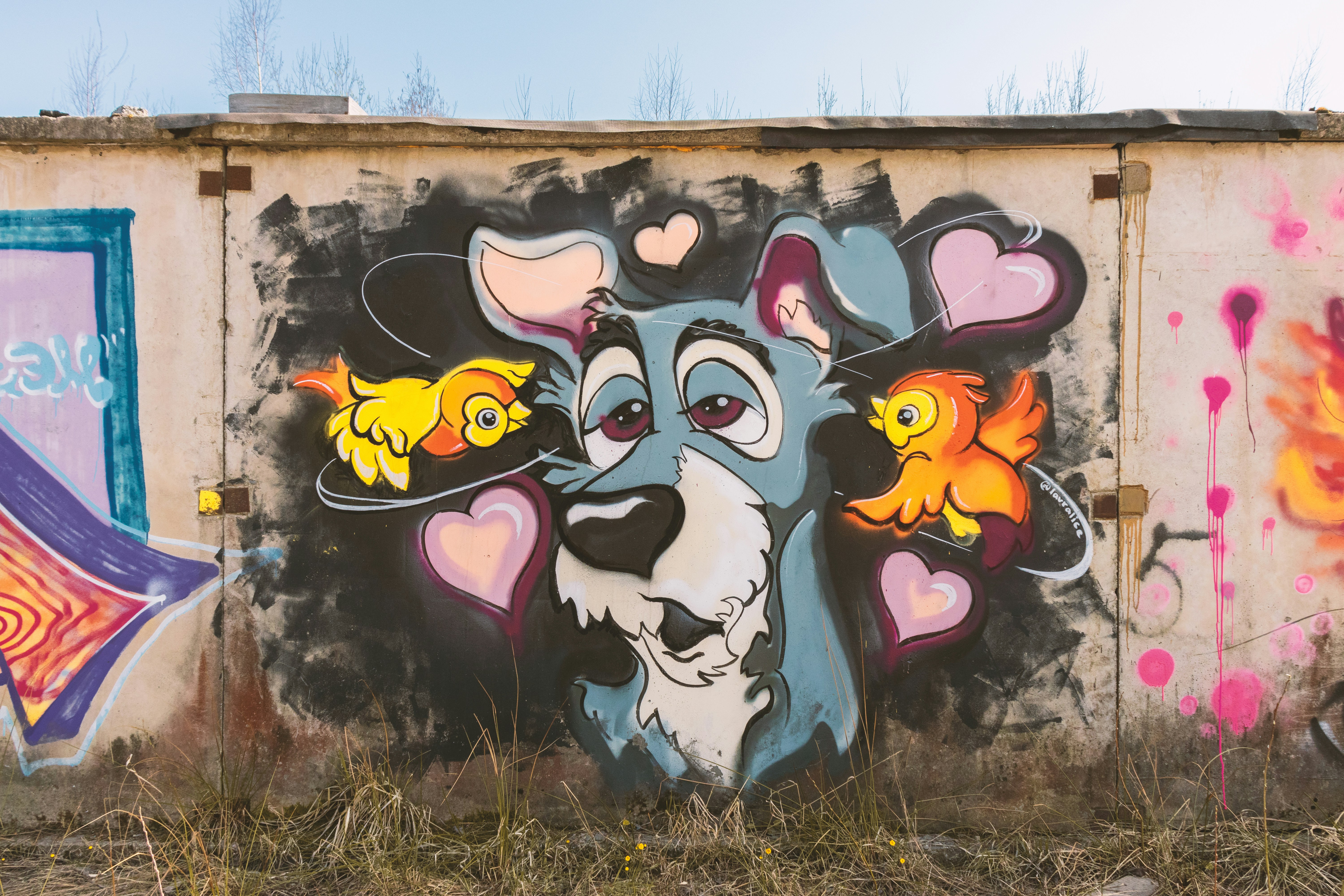 Blue-muzzled Hound in a Heartful Graffiti Garden