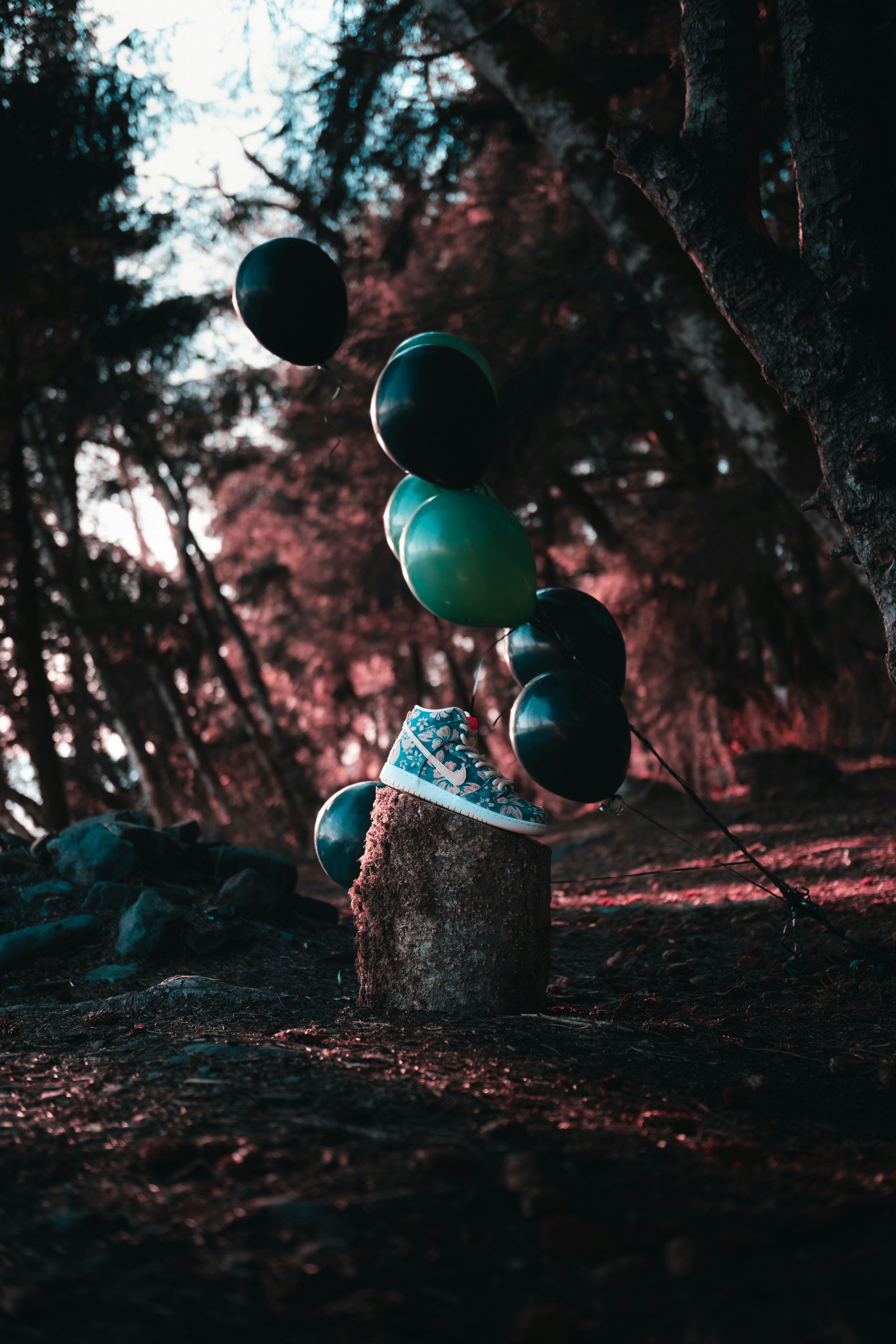 Balloon Bouquet on a Stump: A Quiet Forest Celebration