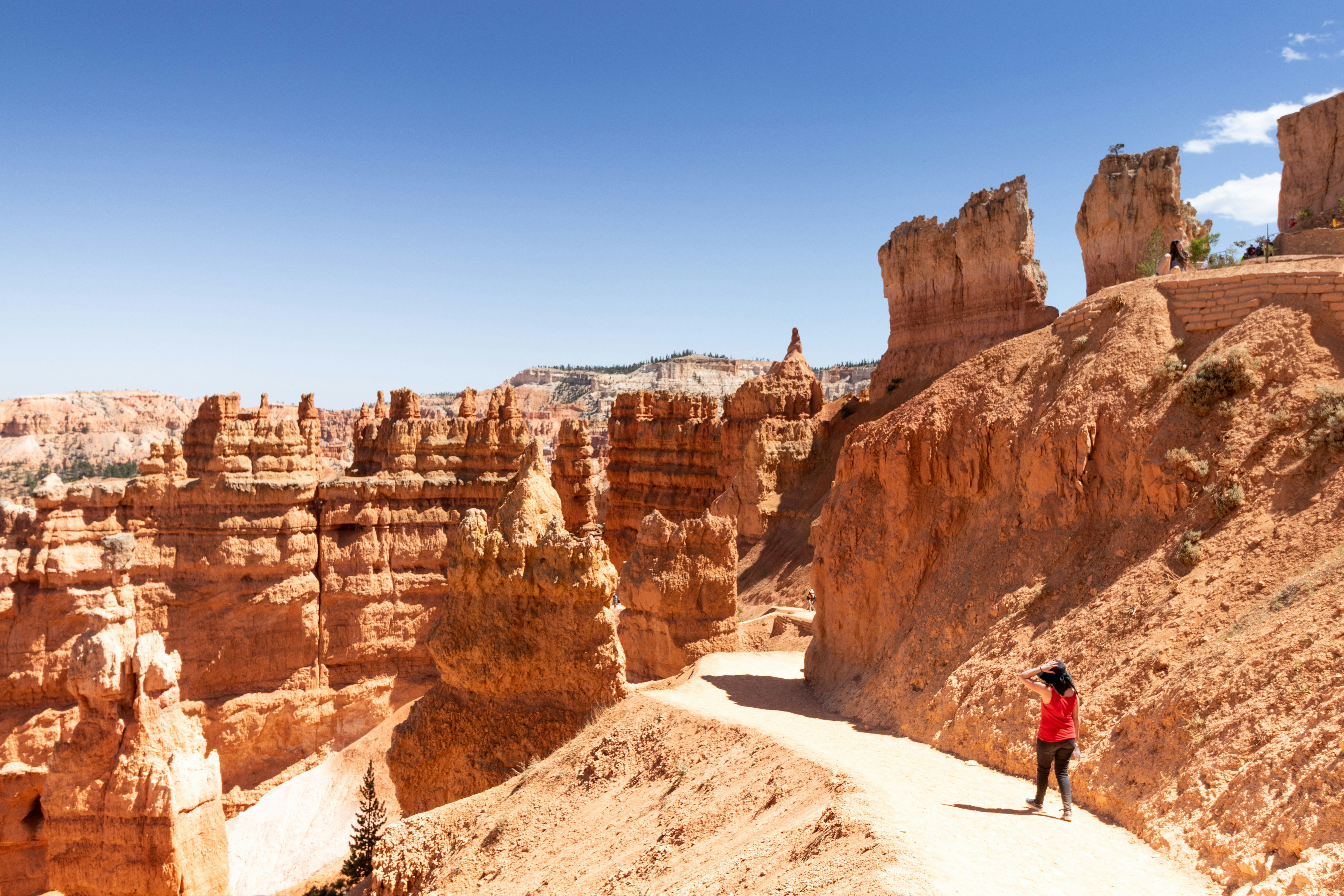A person in a red jacket walks along a sunlit trail surrounded by towering orange rock formations under a clear blue sky.