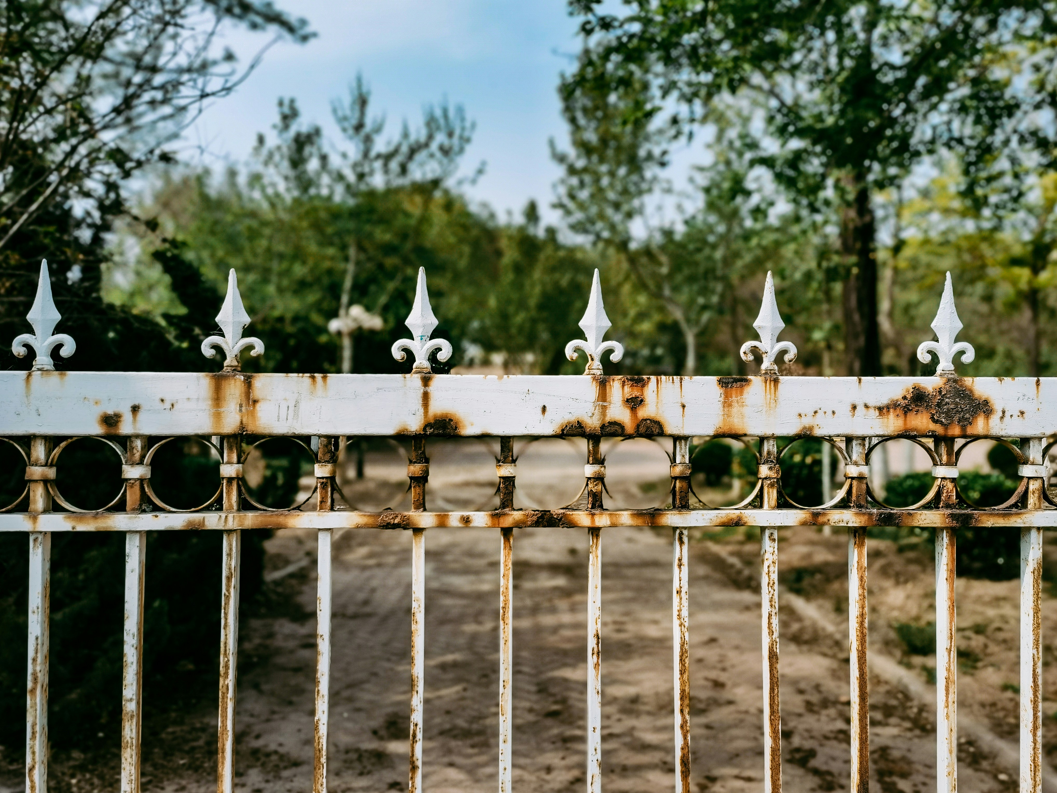 Weathered iron fence with spear-top finials dominates the foreground. A dirt path and green foliage recede into the distance.