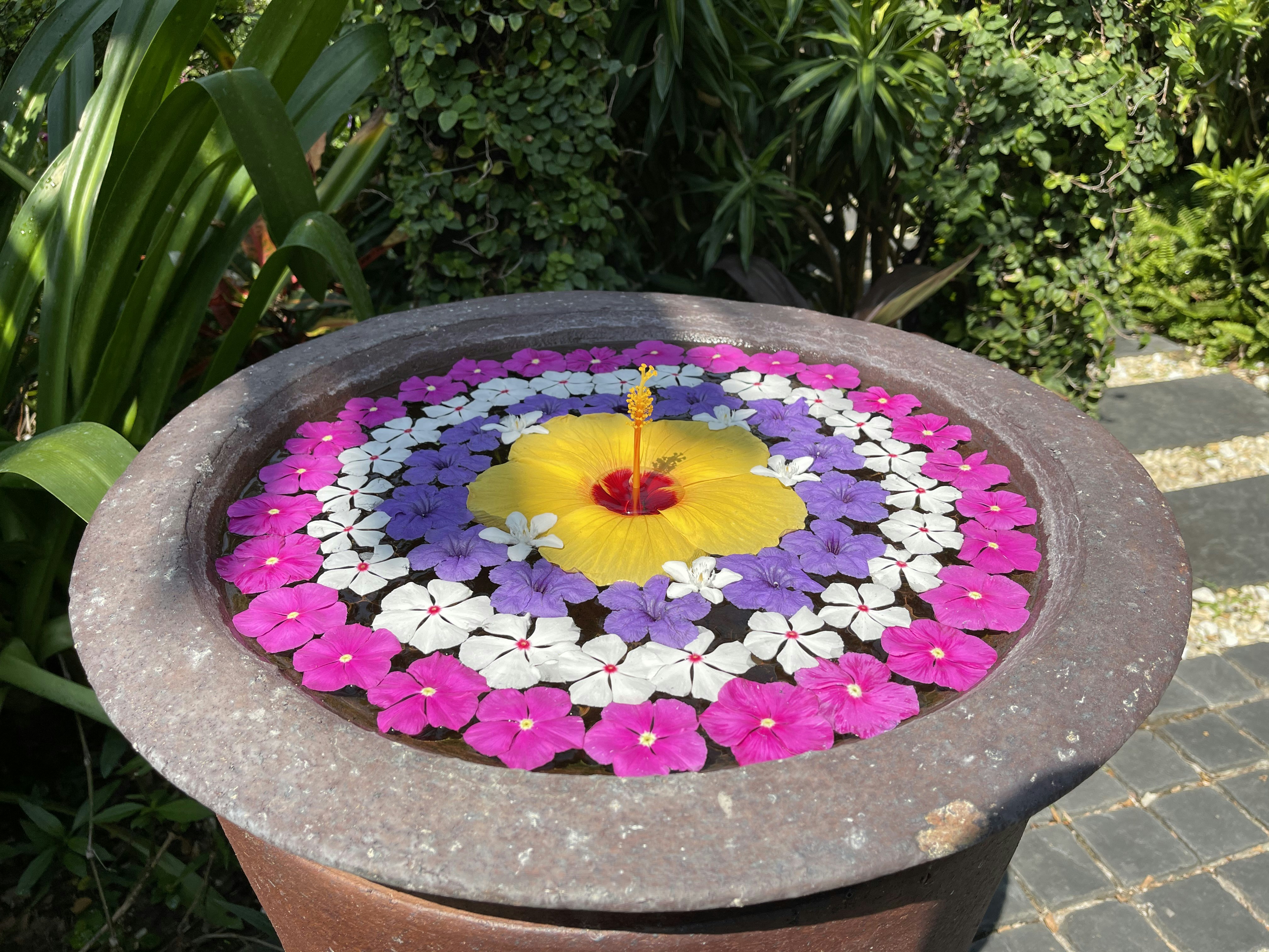 Colorful concentric circles of floating flowers in a garden basin under bright sunlight.