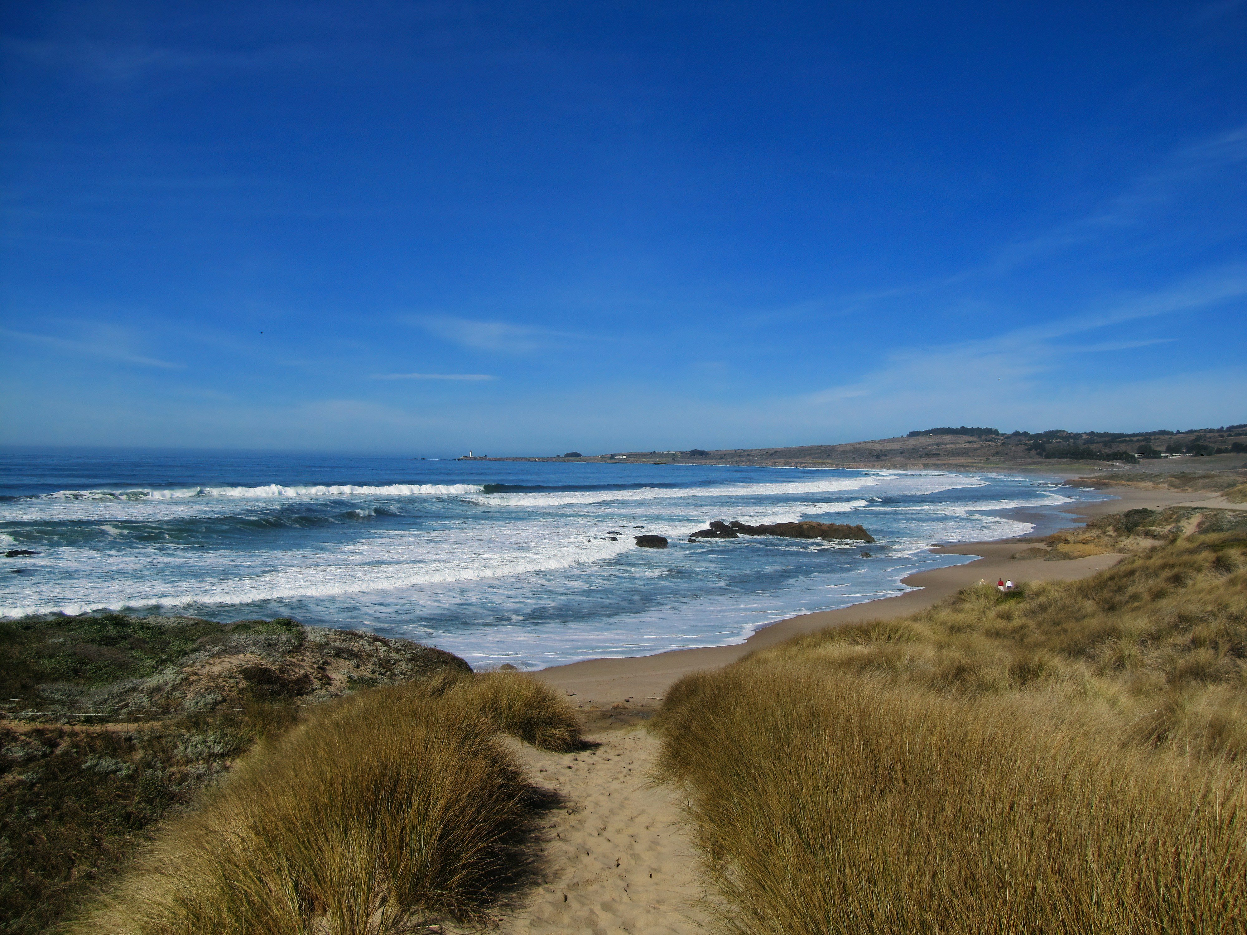 A tranquil coastal pathway leads to a sandy beach, framed by gentle waves and lush grasses under a clear blue sky.