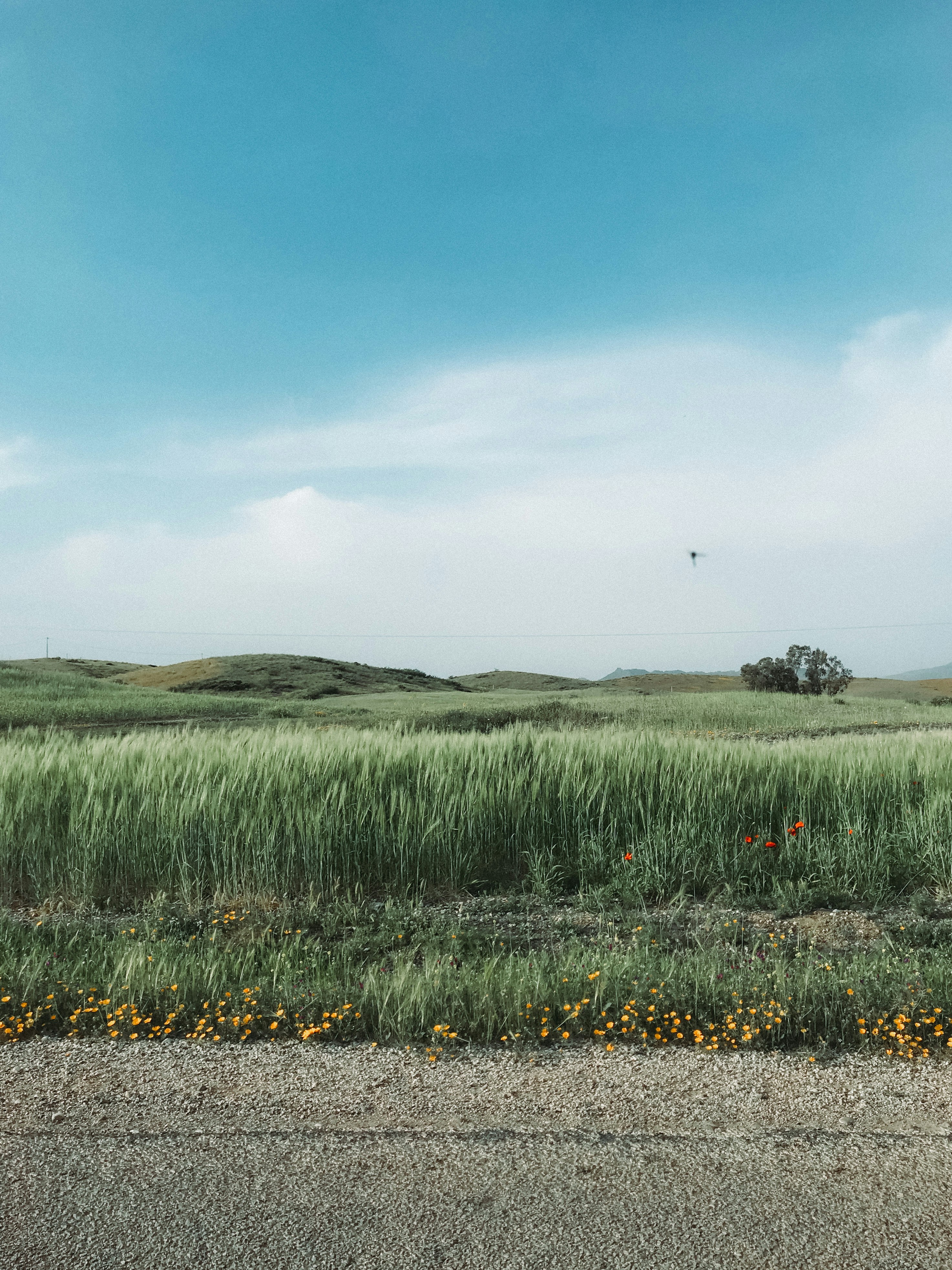 Land Scape Pictures | Download Free Images on Unsplash