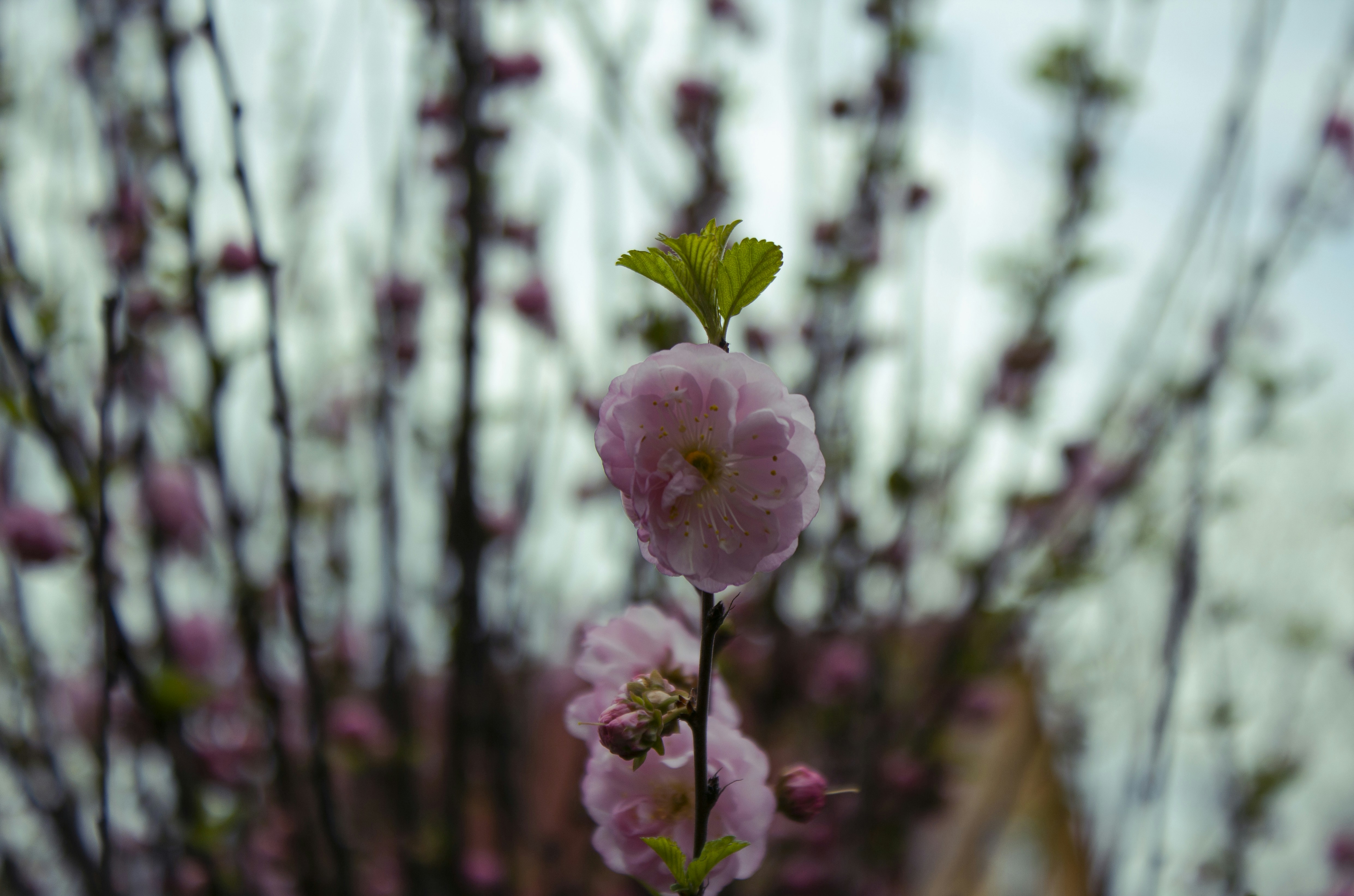 Earth Observation Pictures | Download Free Images on Unsplash