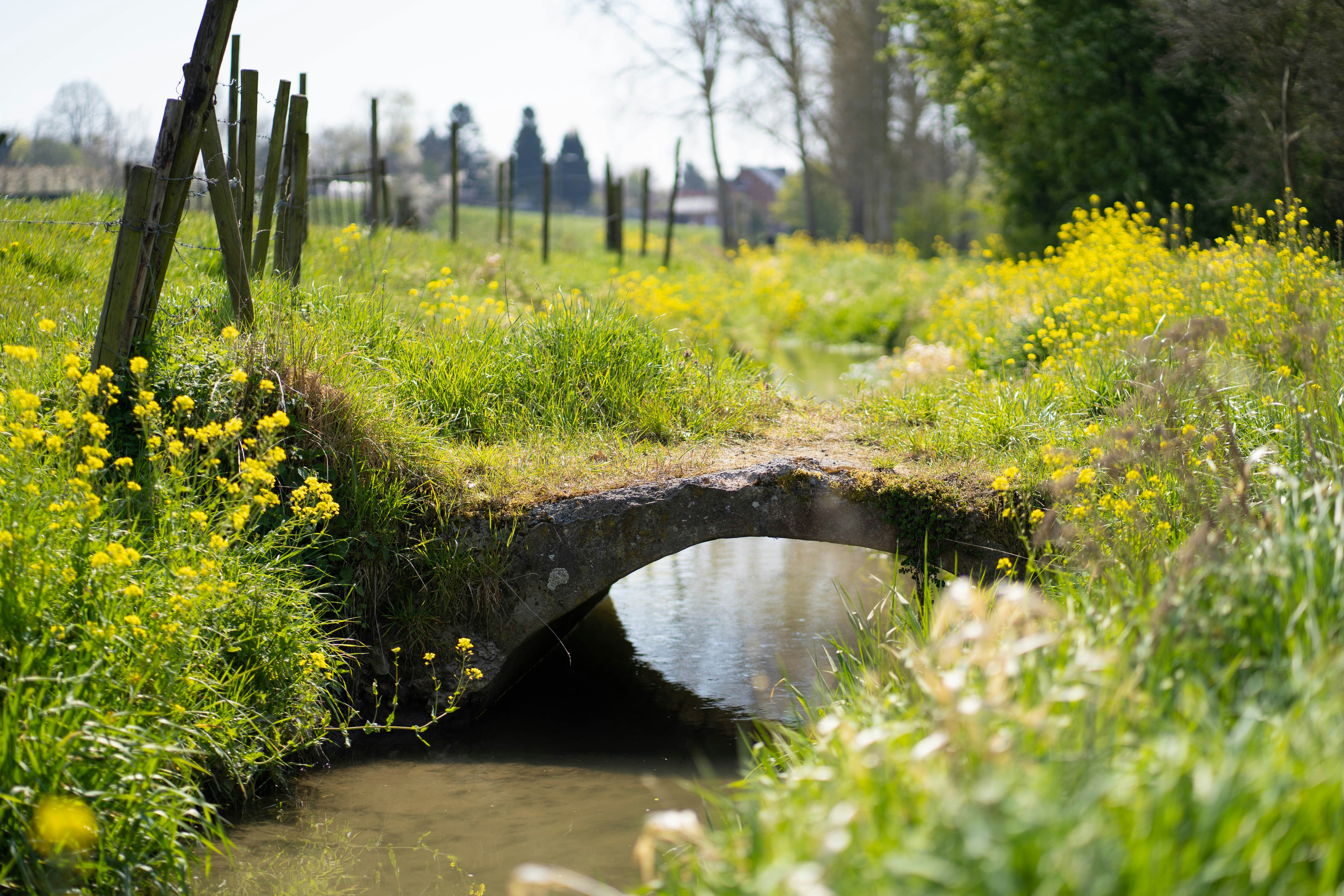 Green grass near river during daytime photo – Free Outdoors Image on ...