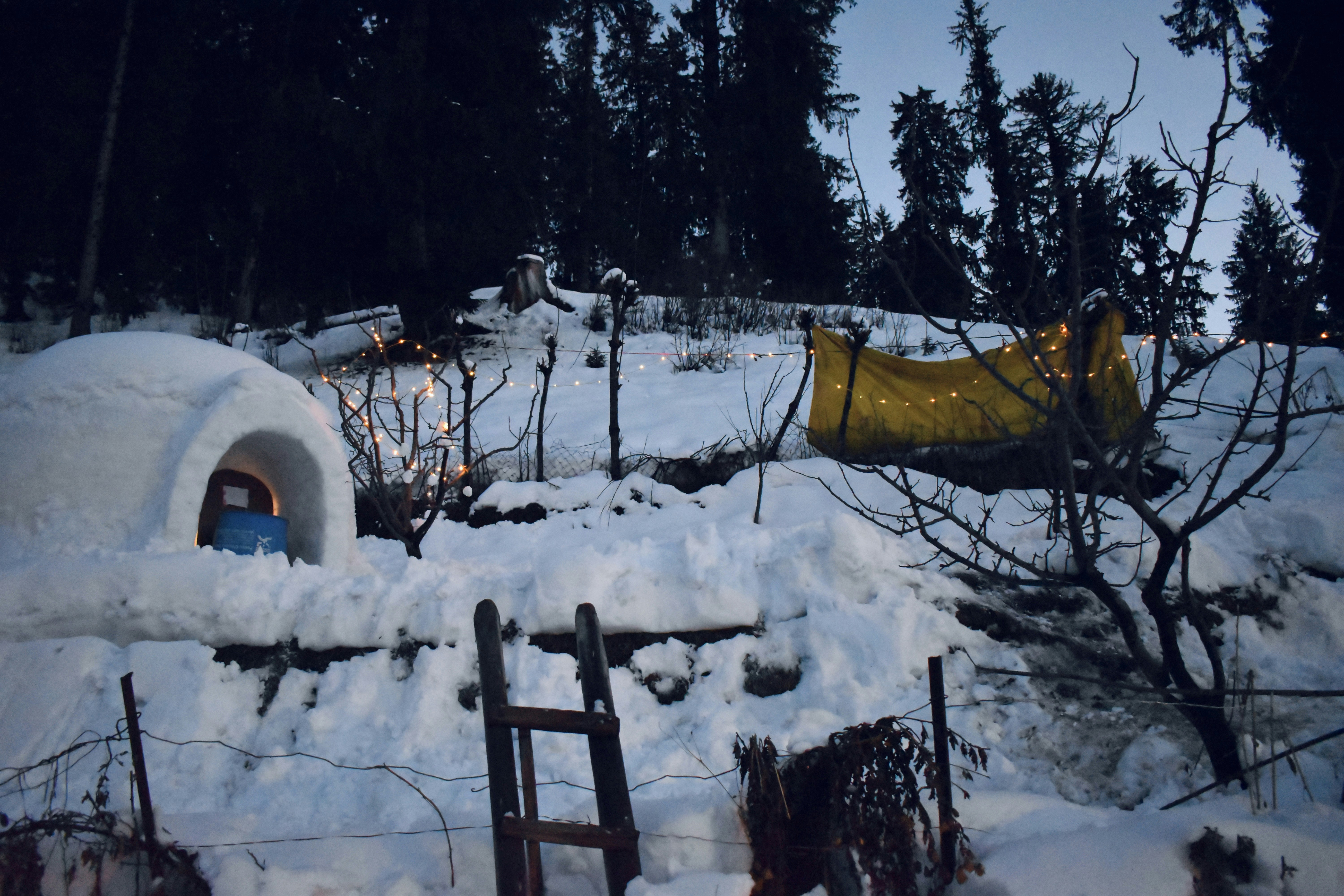 Winter's Glow: A Cozy Igloo Retreat