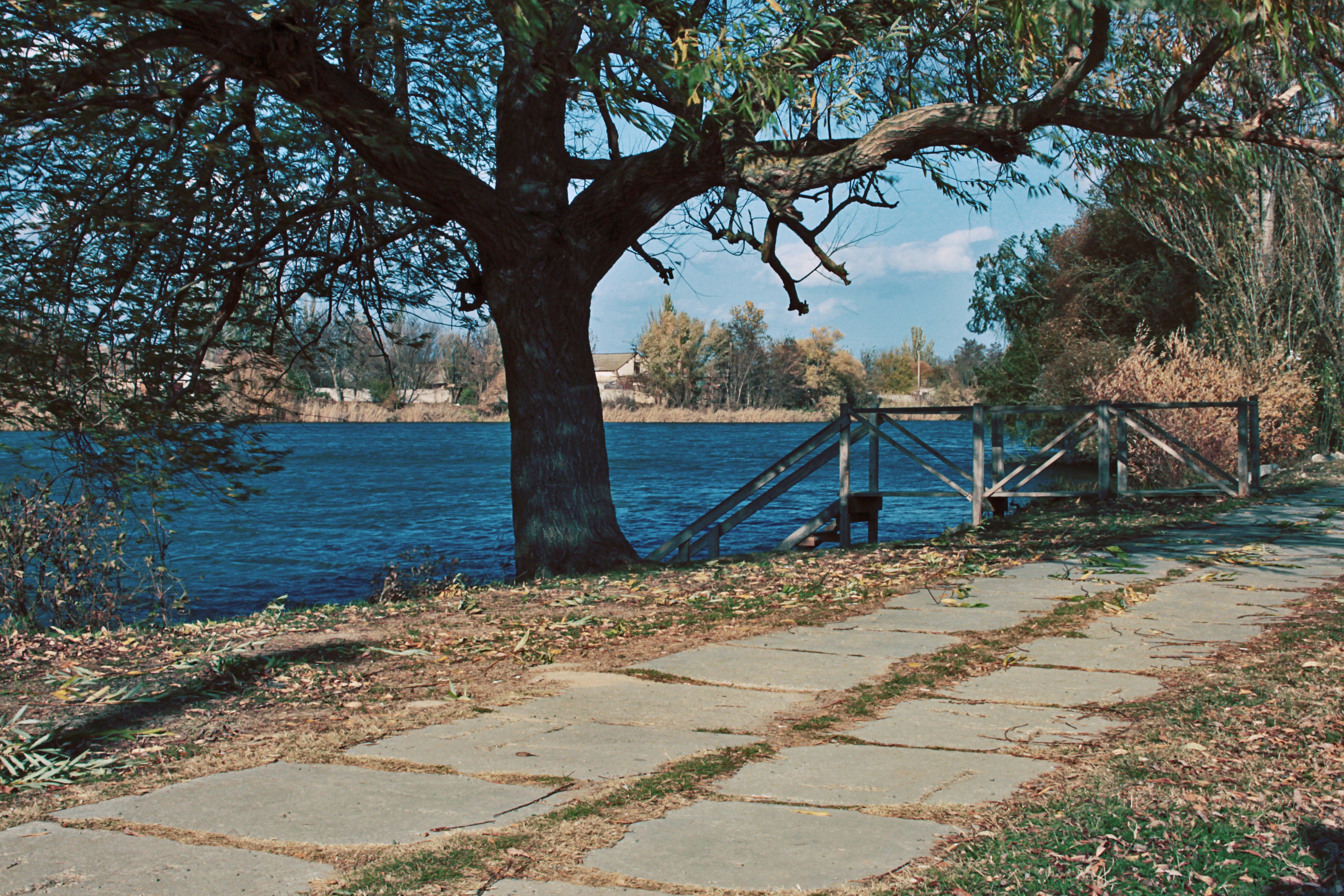 Shaded Riverside Walk by a Quiet Lake