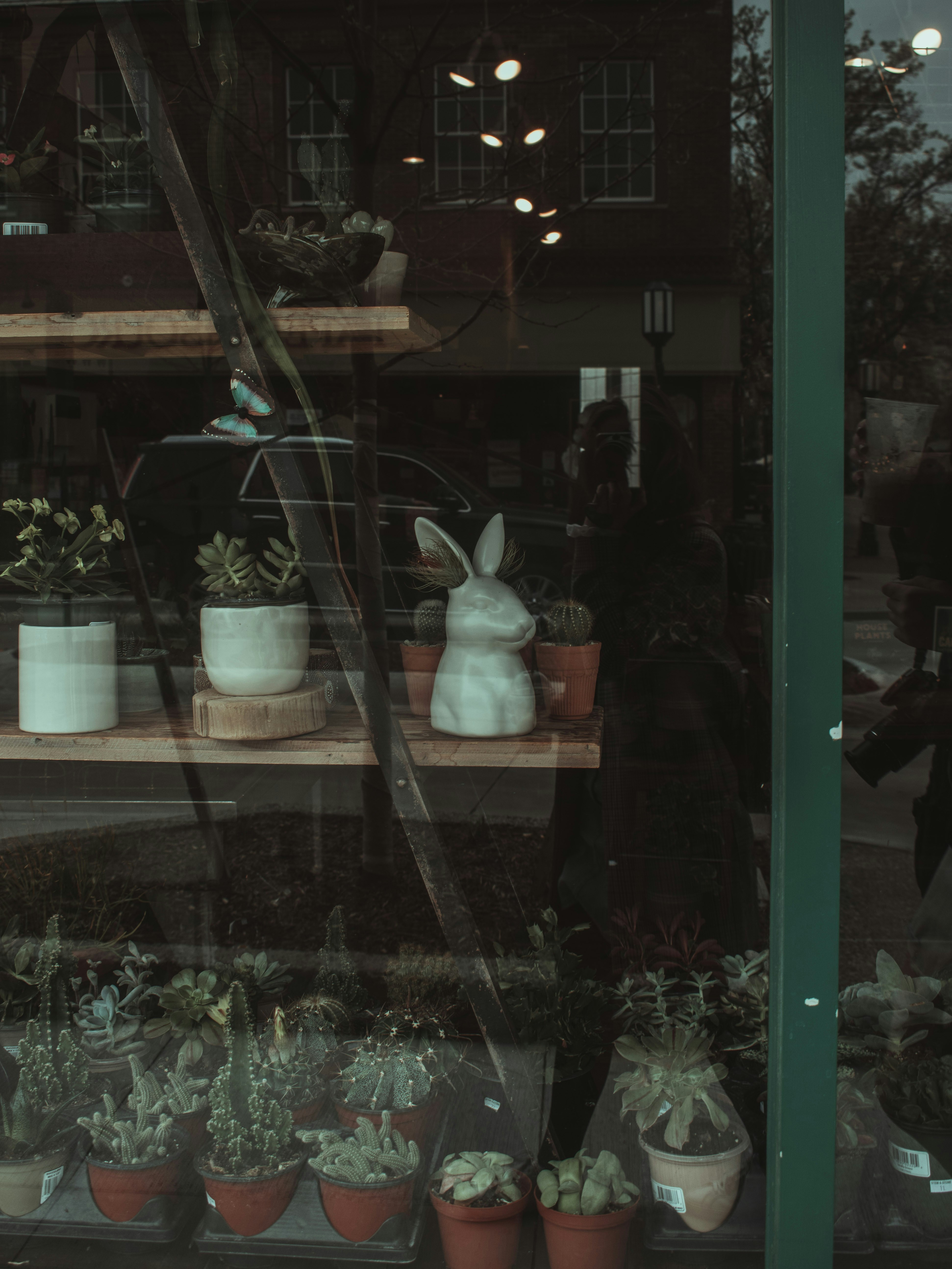 Ceramic Bunny Oversees a Window Garden of Succulents