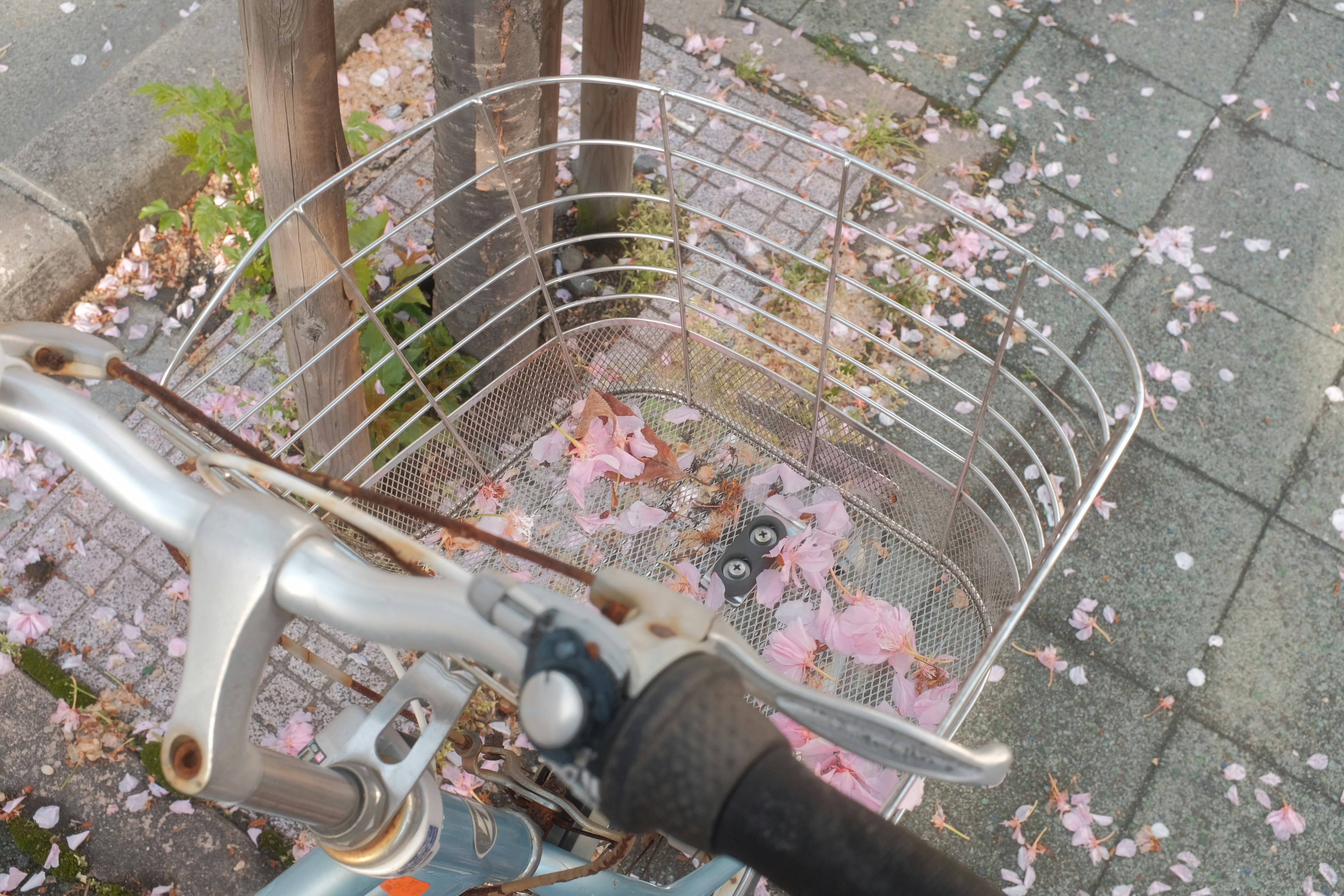 white and black bicycle wheel