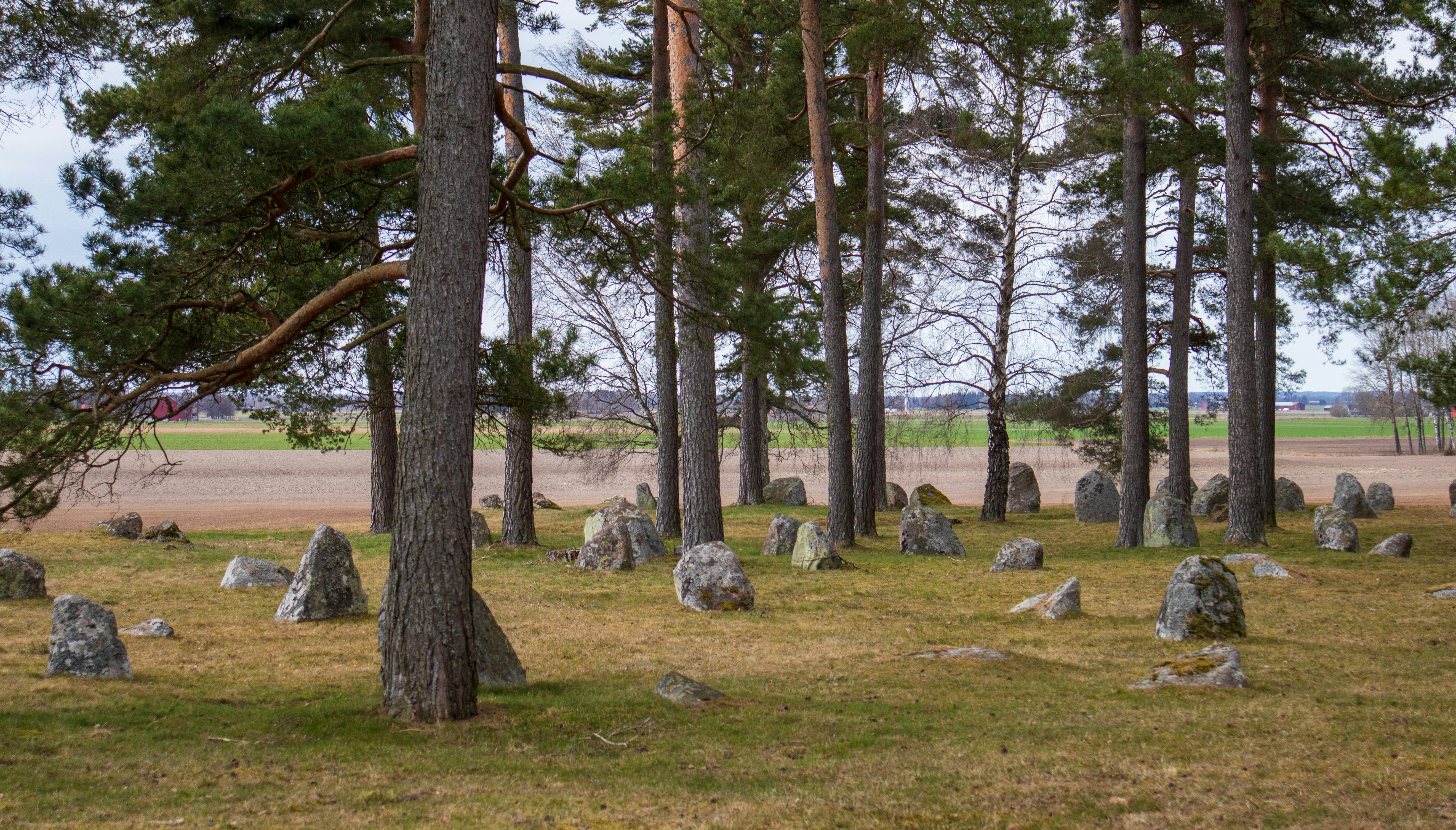Unveiling Birka's Rune Stones