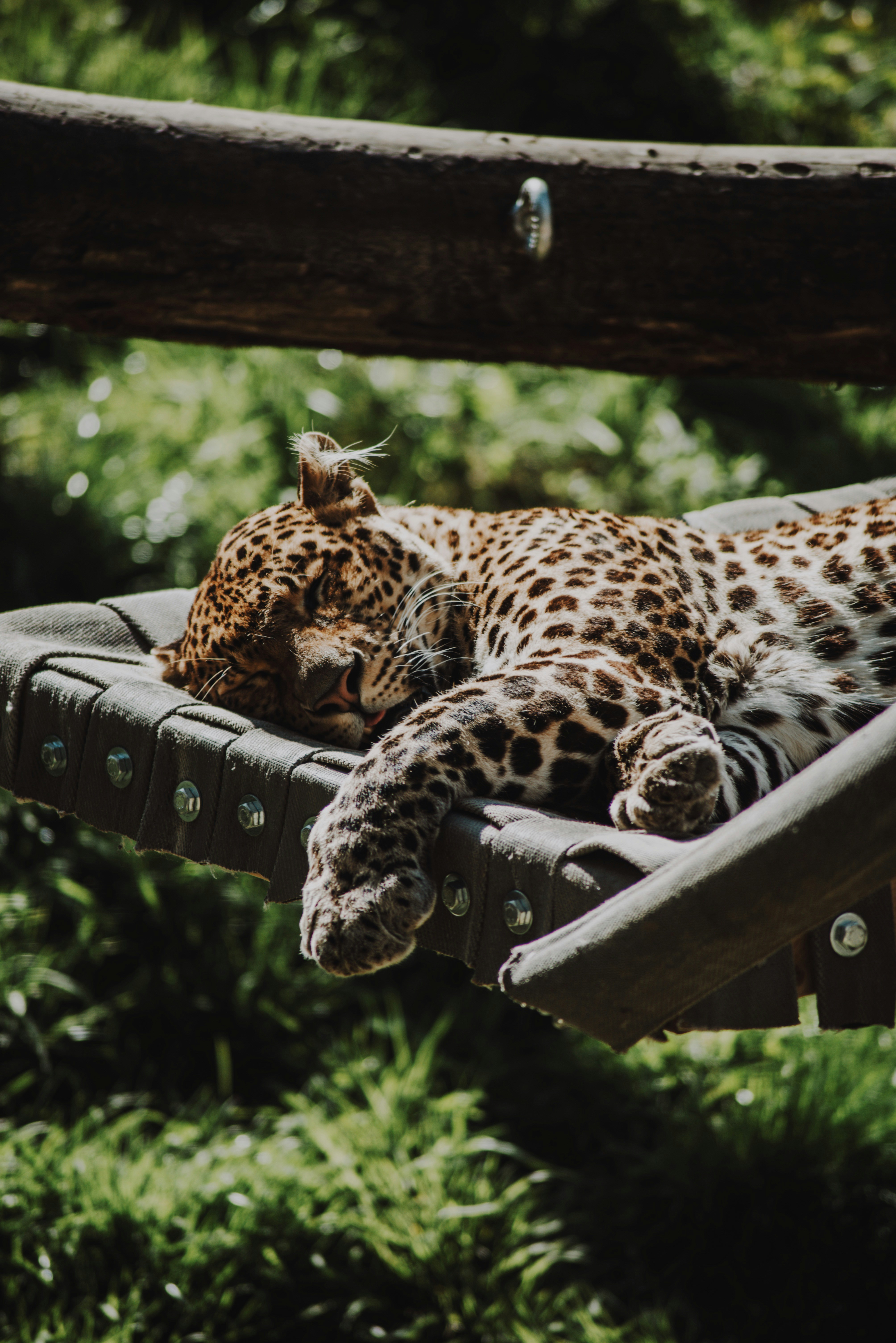 Sleeping