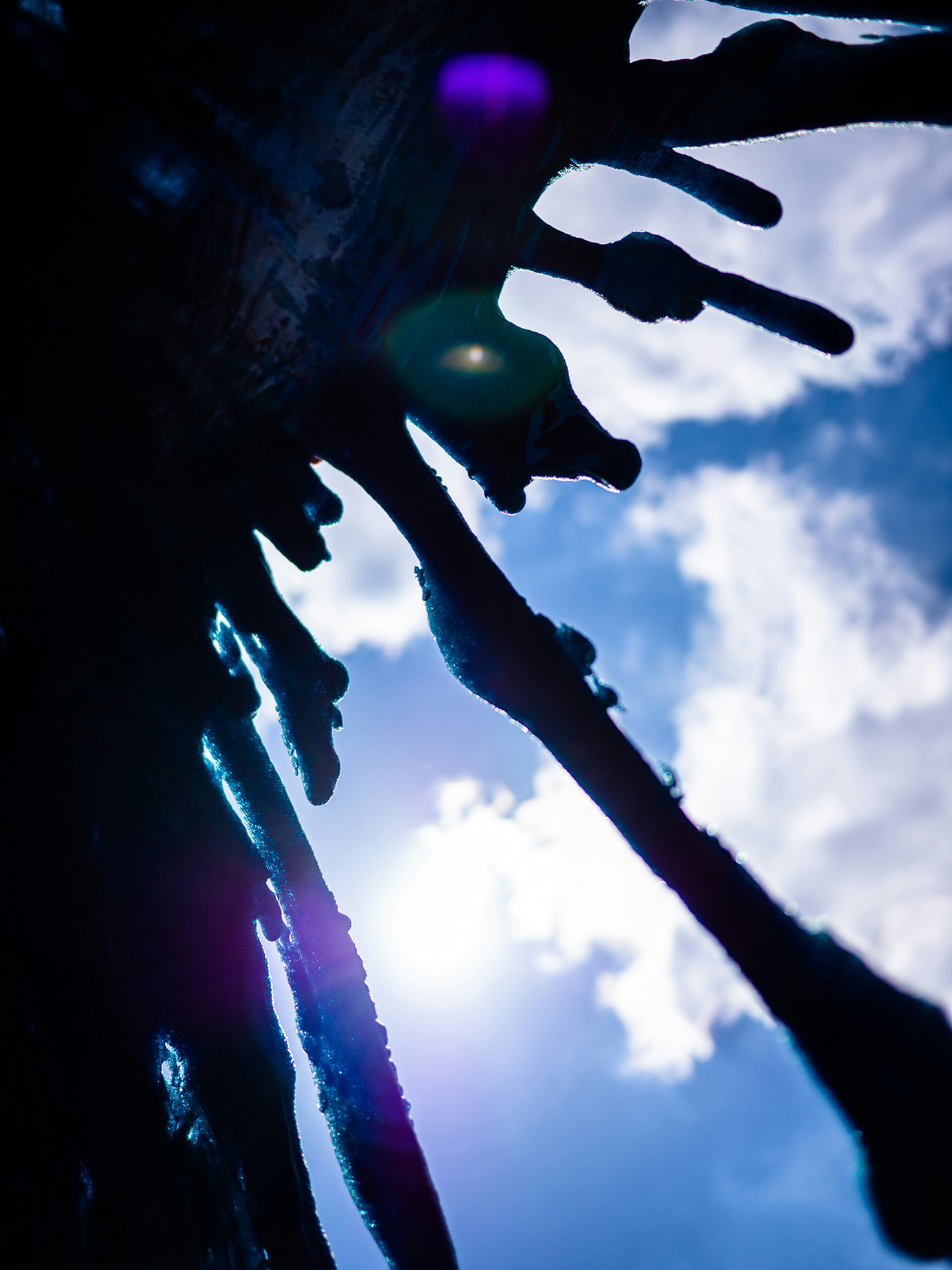 Sunburst Silhouette: Fingers Framing the Sky