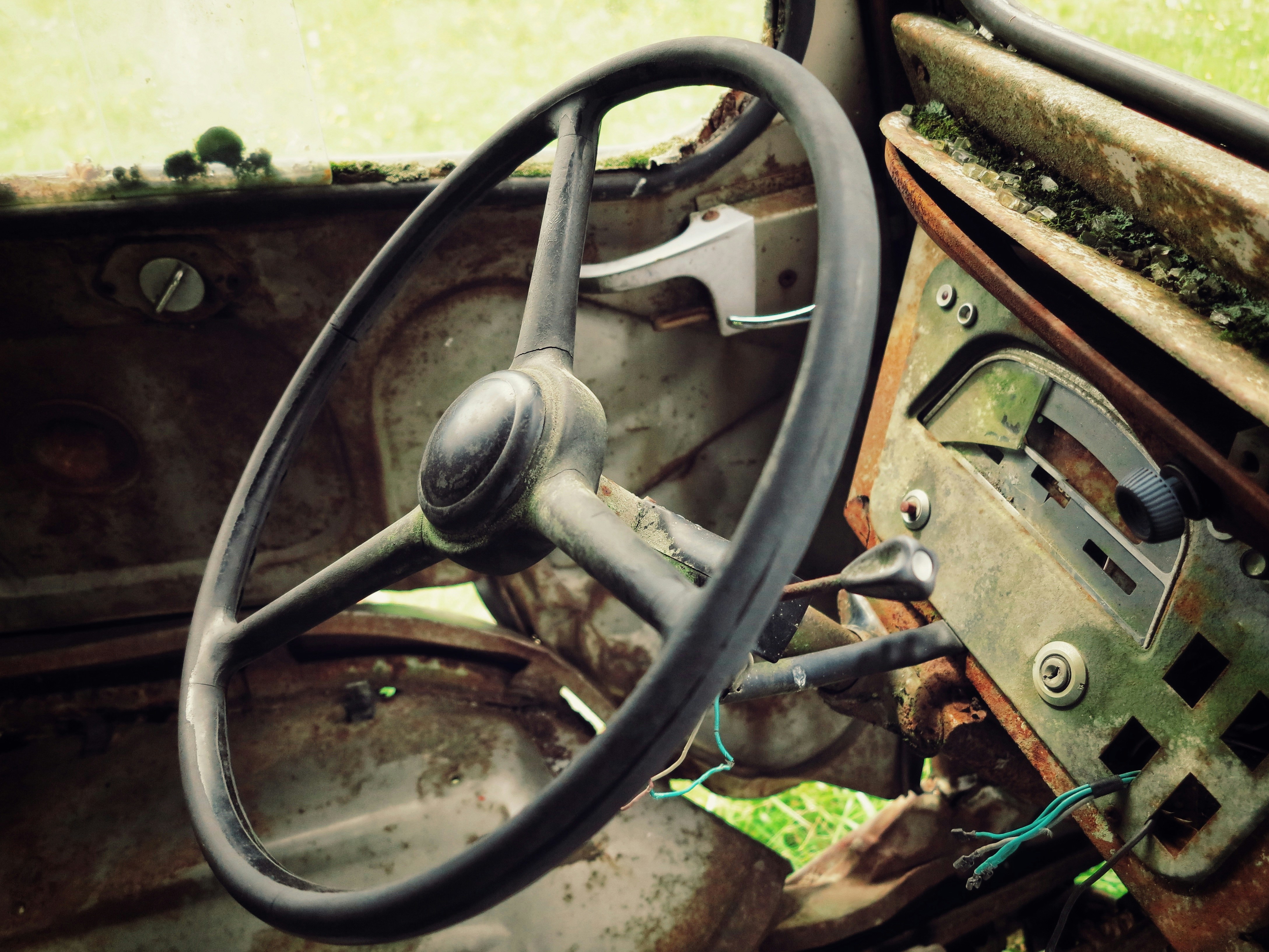 Rusty steering wheel and dashboard of an abandoned vehicle, showcasing the passage of time and nature's reclamation.