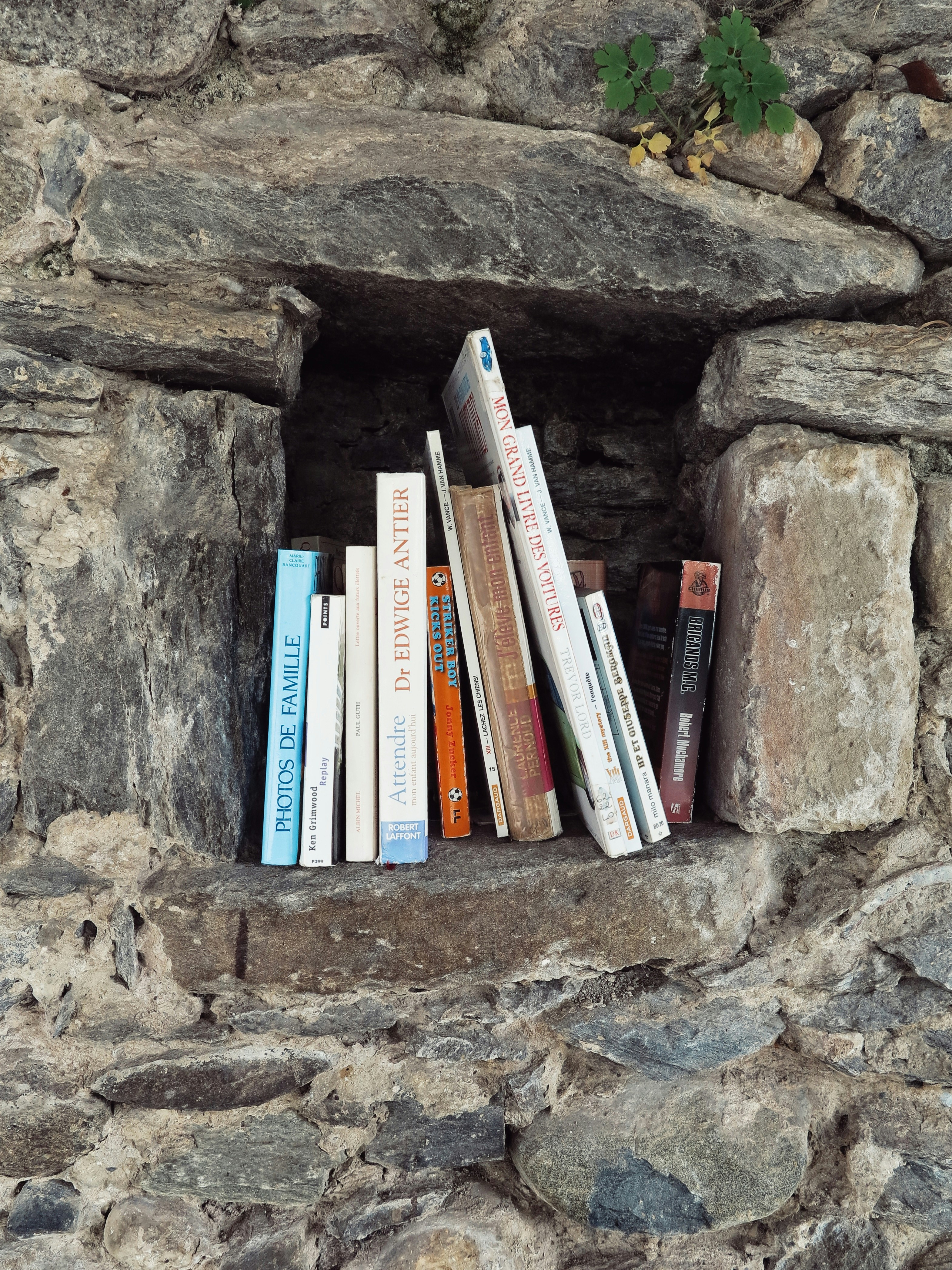 Books in a Stone Niche: Quiet Library Against a Rustic Wall