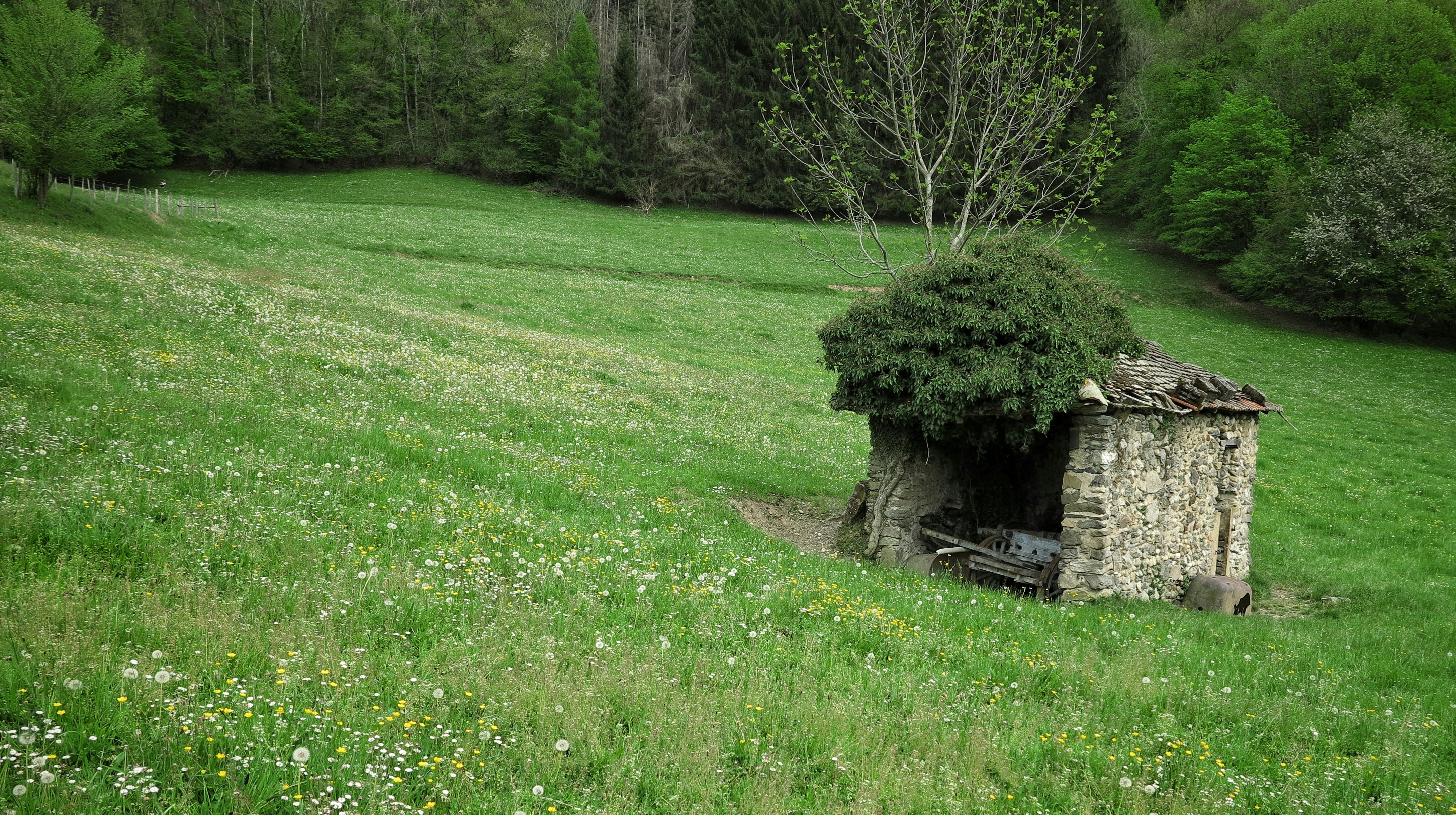 Weathered stone structure nestled in a lush green meadow, partially obscured by overgrown foliage. A tranquil scene that evokes a sense of nostalgia.