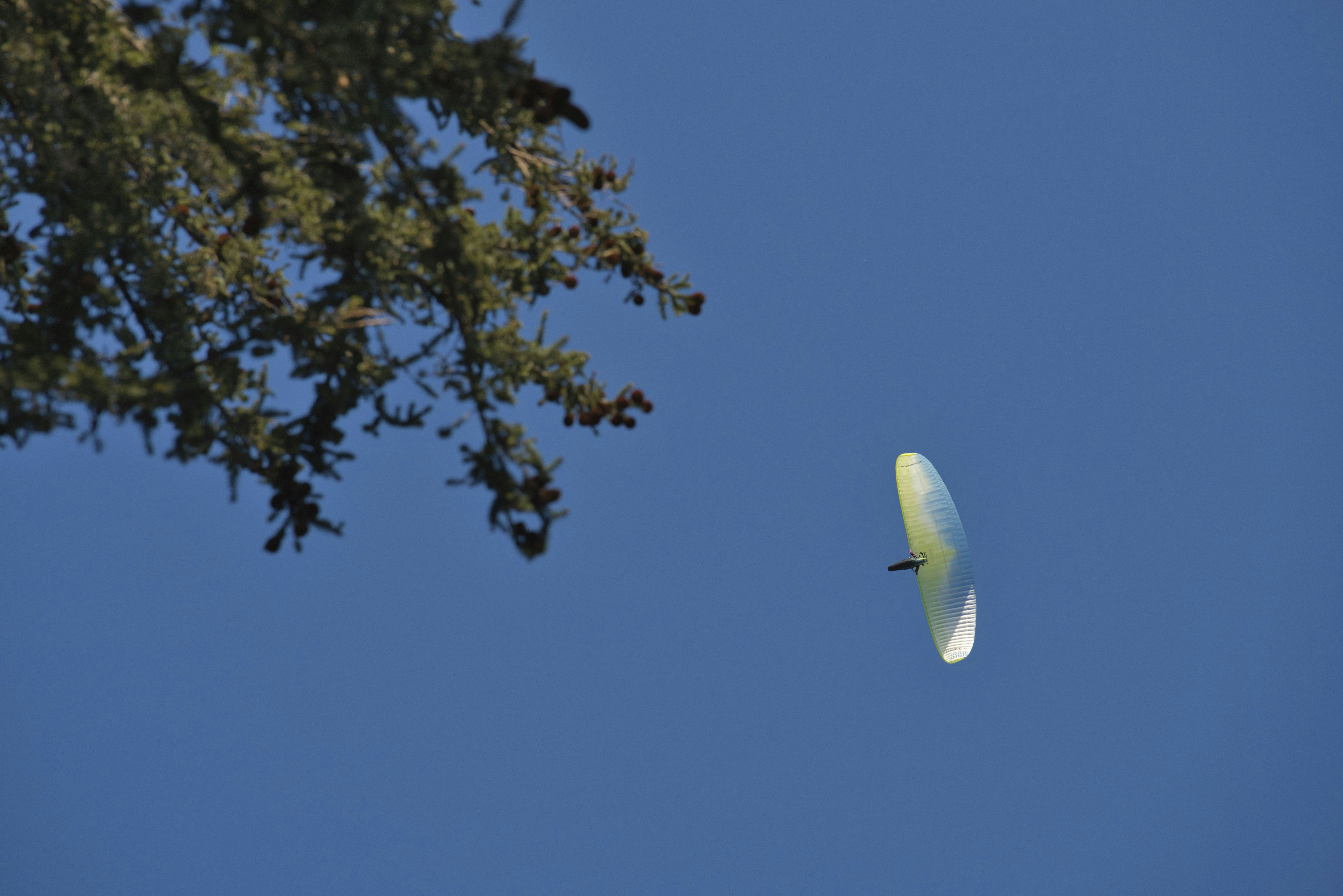 Winged Glider Against a Clear Blue Cathedral