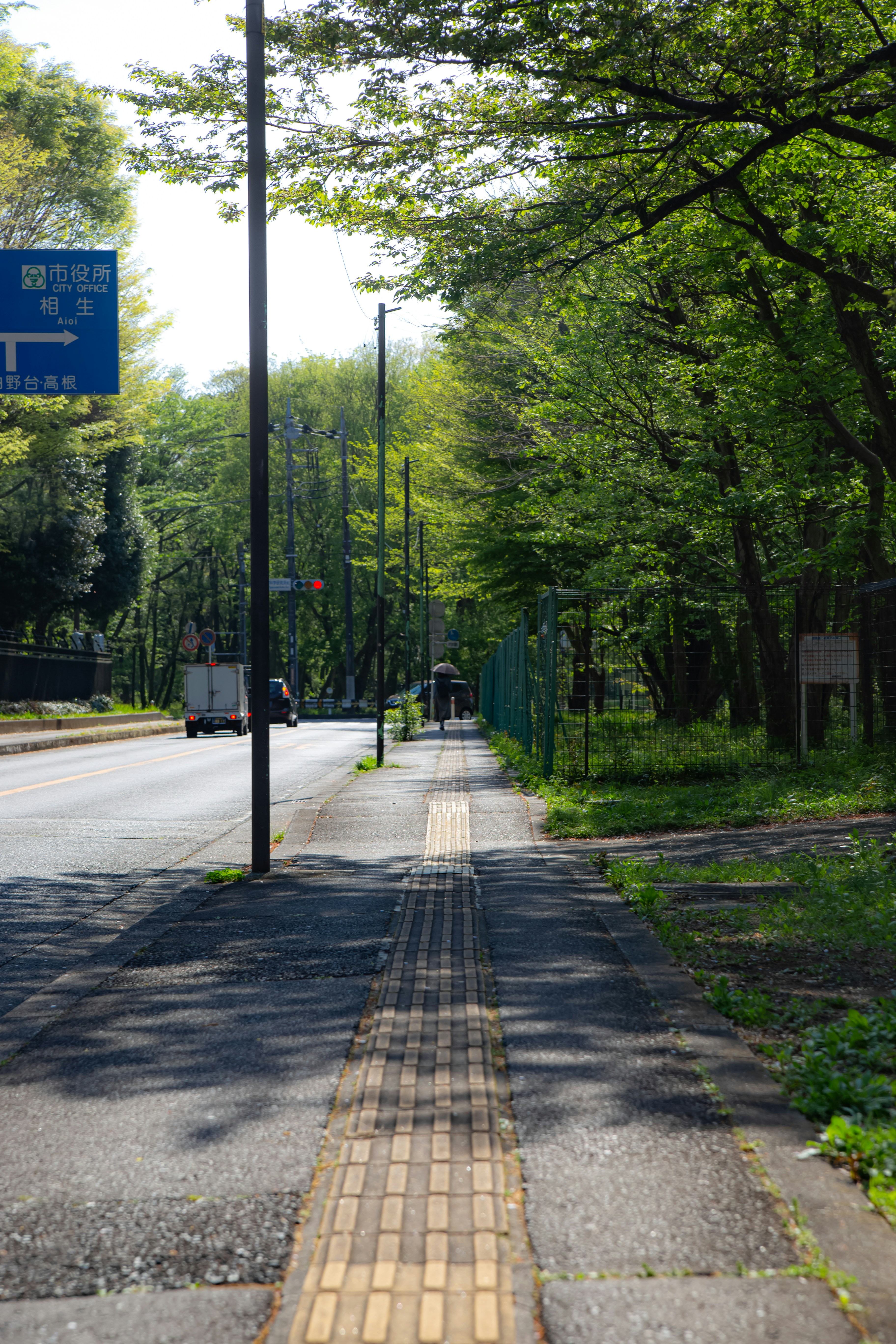 Gray concrete road between green trees during daytime photo – Free ...