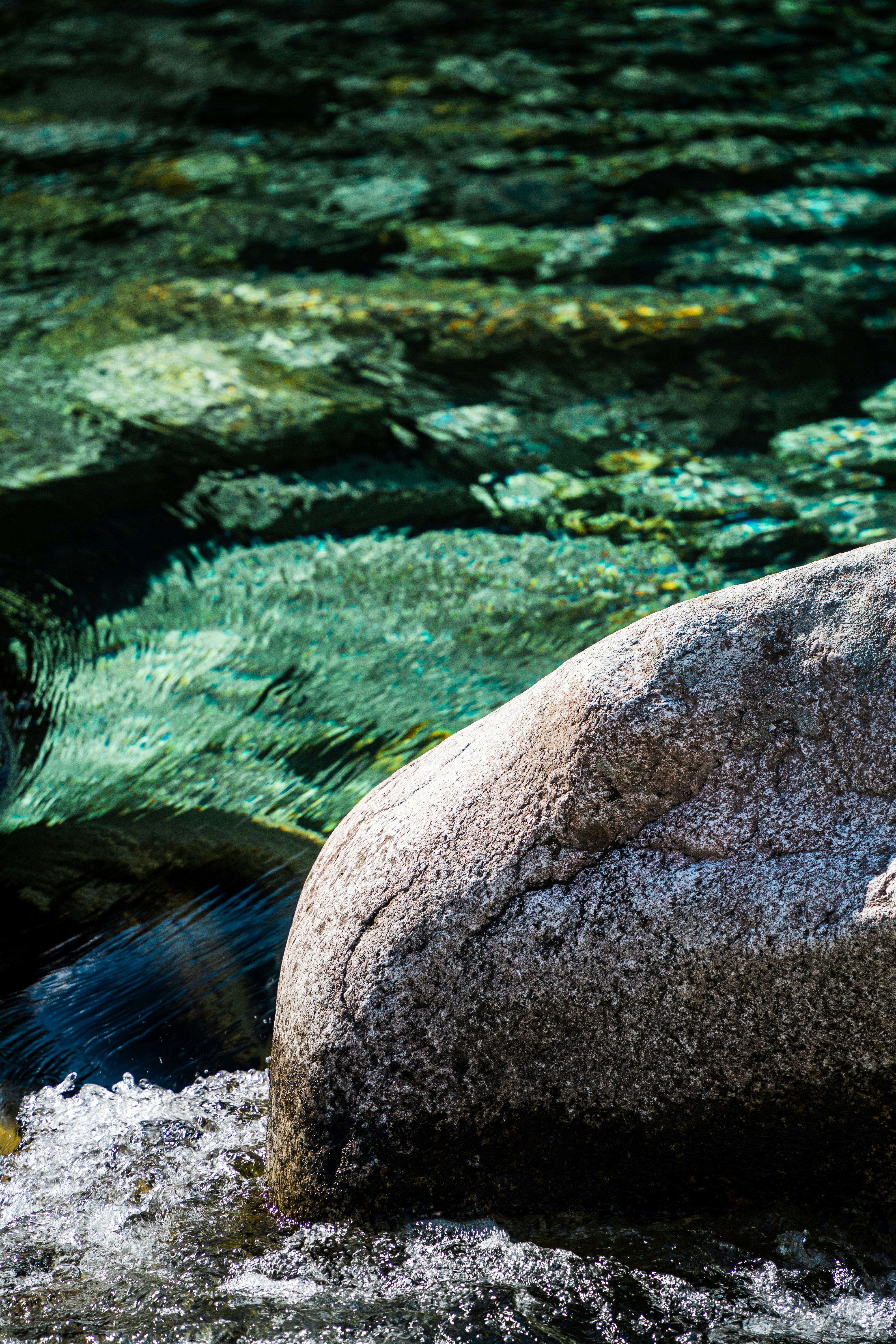 Emerald Rivulets Embrace a Weathered Granite Boulder