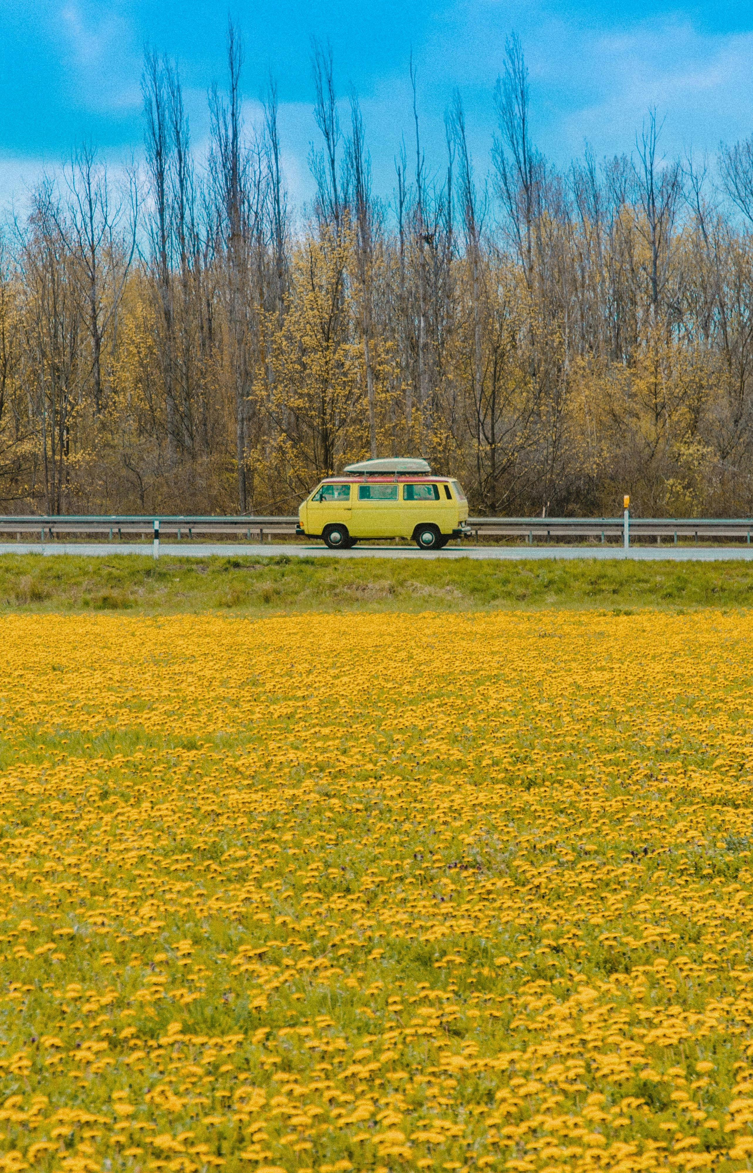 Sample photo from Sony Alpha 6500