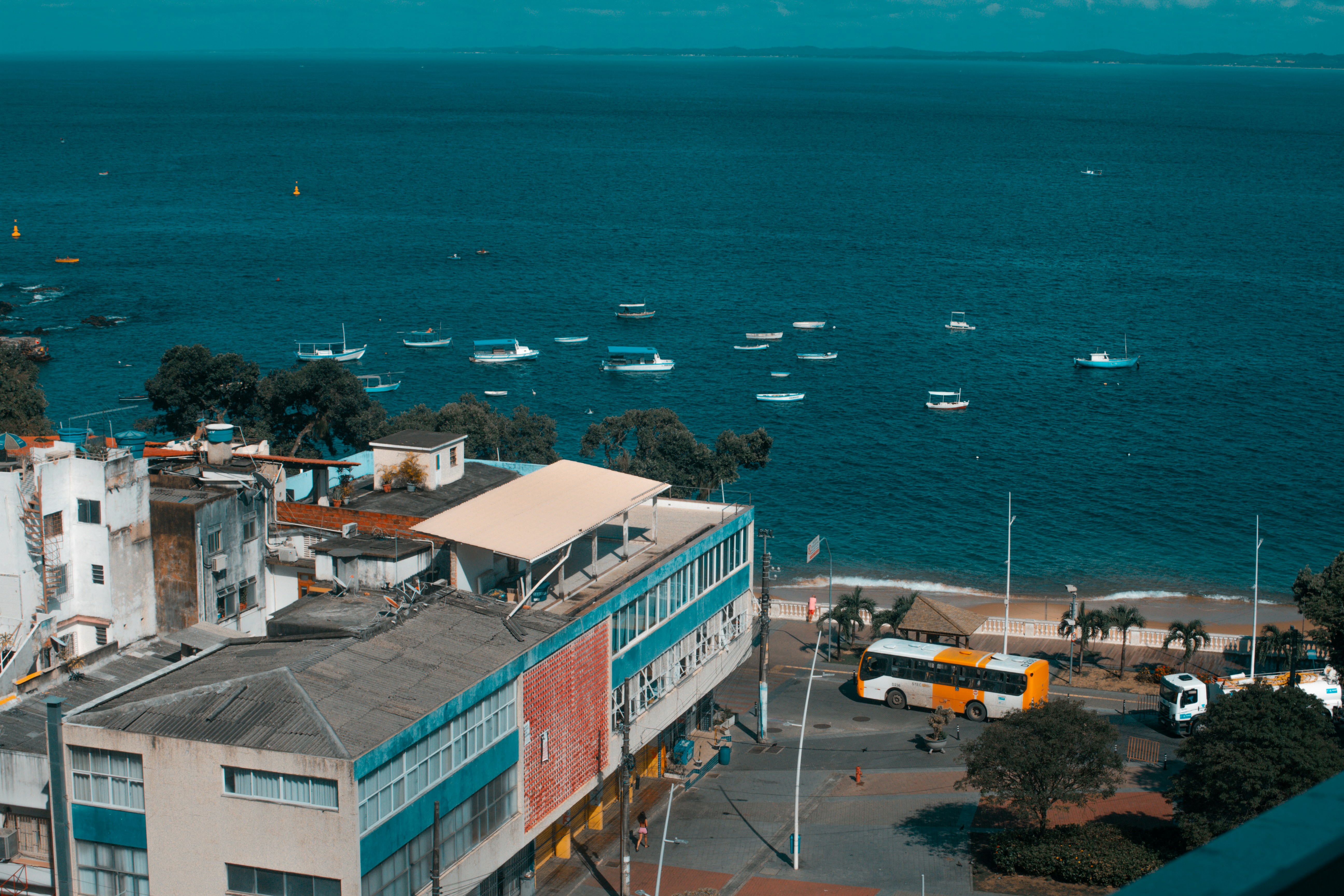 A vibrant coastal scene featuring boats dotting the water, alongside a bustling urban area with a mix of buildings and greenery.