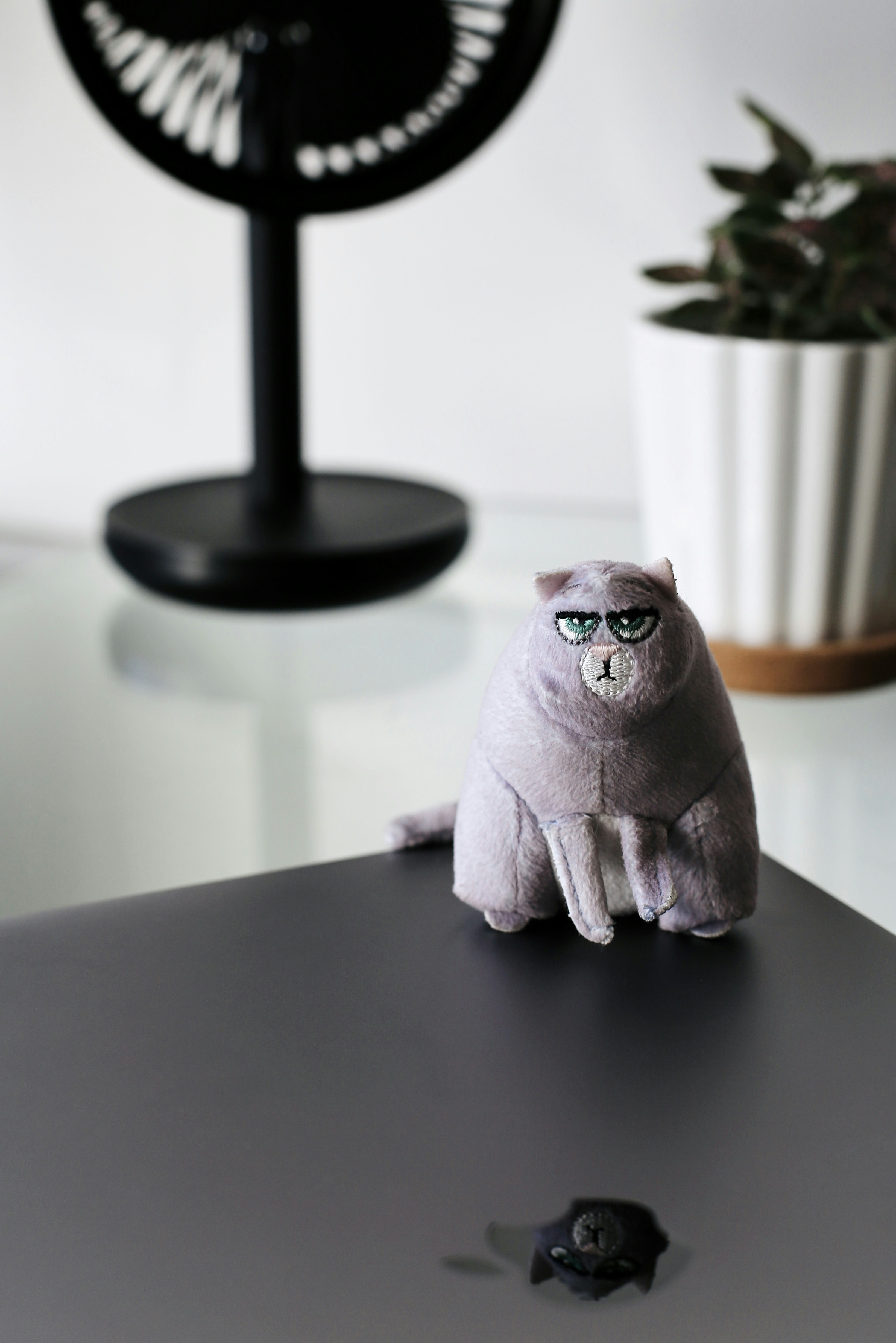 A plush gray cat with sunglasses sits on a sleek black surface, reflecting a nearby fan and a potted plant in the background.