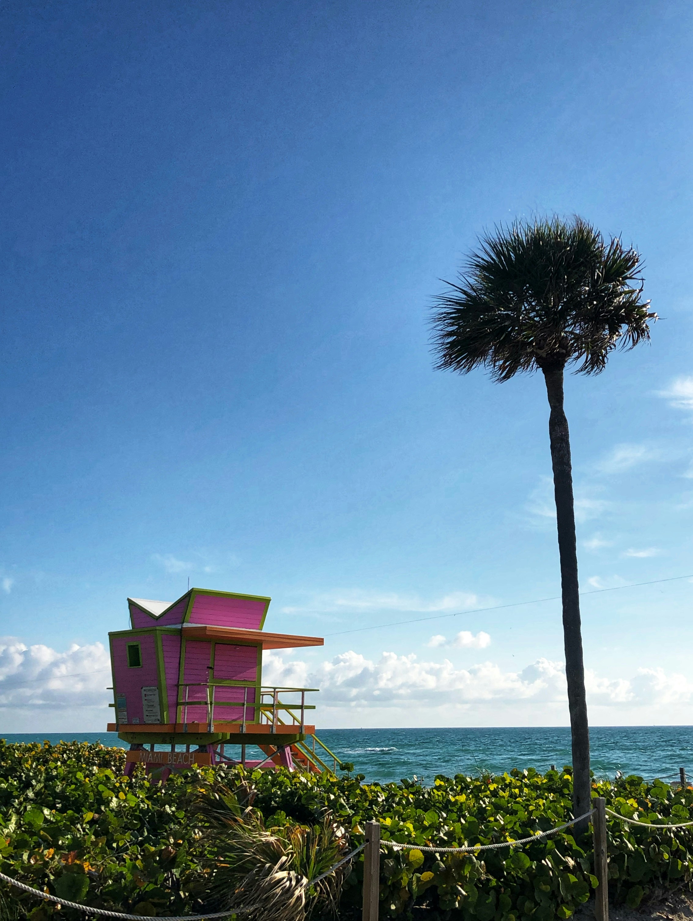Vivid Pink Lifeguard Shack Framed by a Lone Palm Over a Coastal Horizon