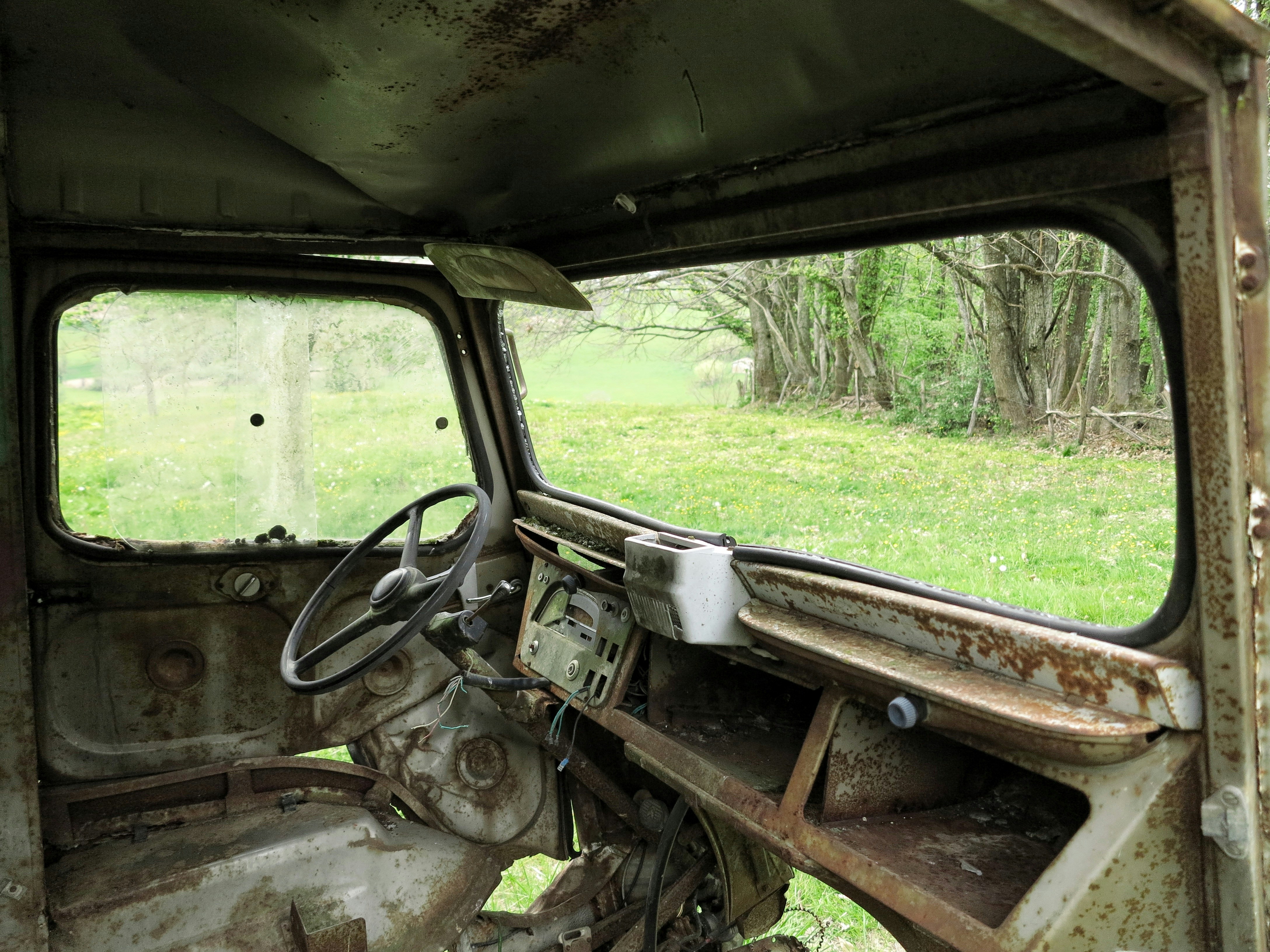 Interior view of a rusted vehicle, showcasing the steering wheel and dashboard, with a backdrop of lush greenery visible through the windows.